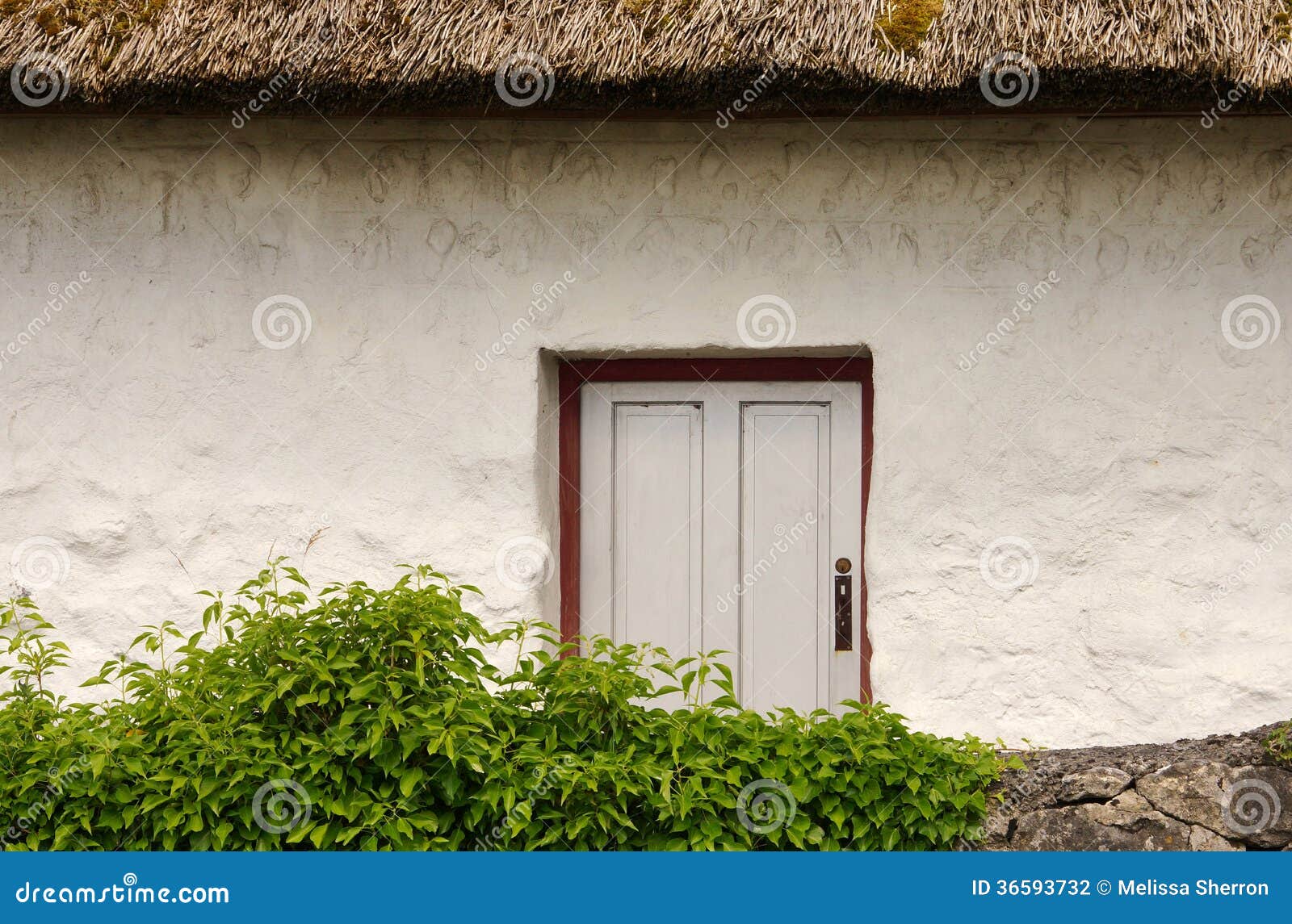Irish Cottage stock photo. Image of reeds, home, europe - 36593732