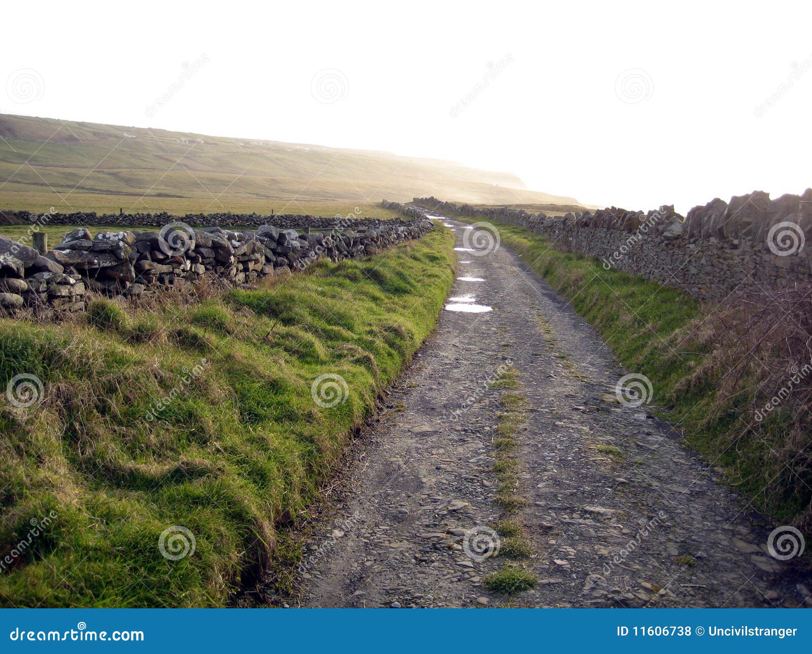 Irish country lane stock photo. Image of lane, rustic - 11606738