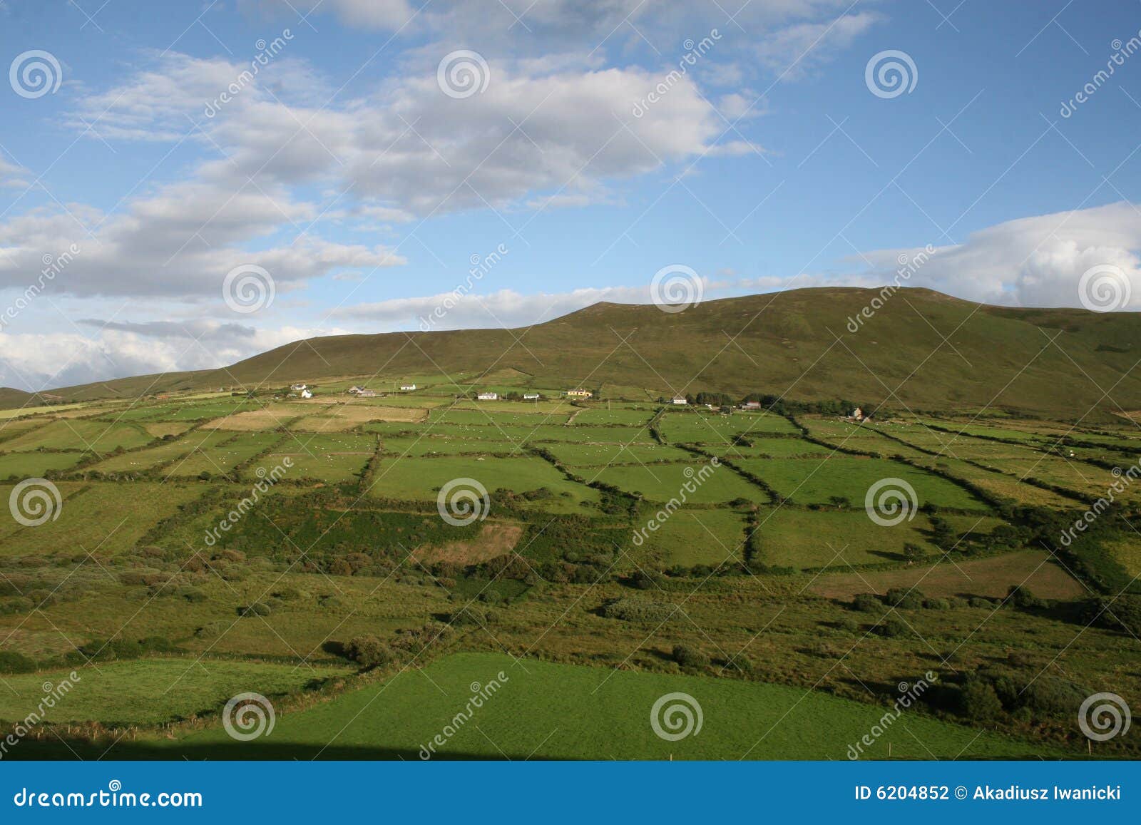 Irish farmland stock photo. Image of view, romantic, green - 6204852