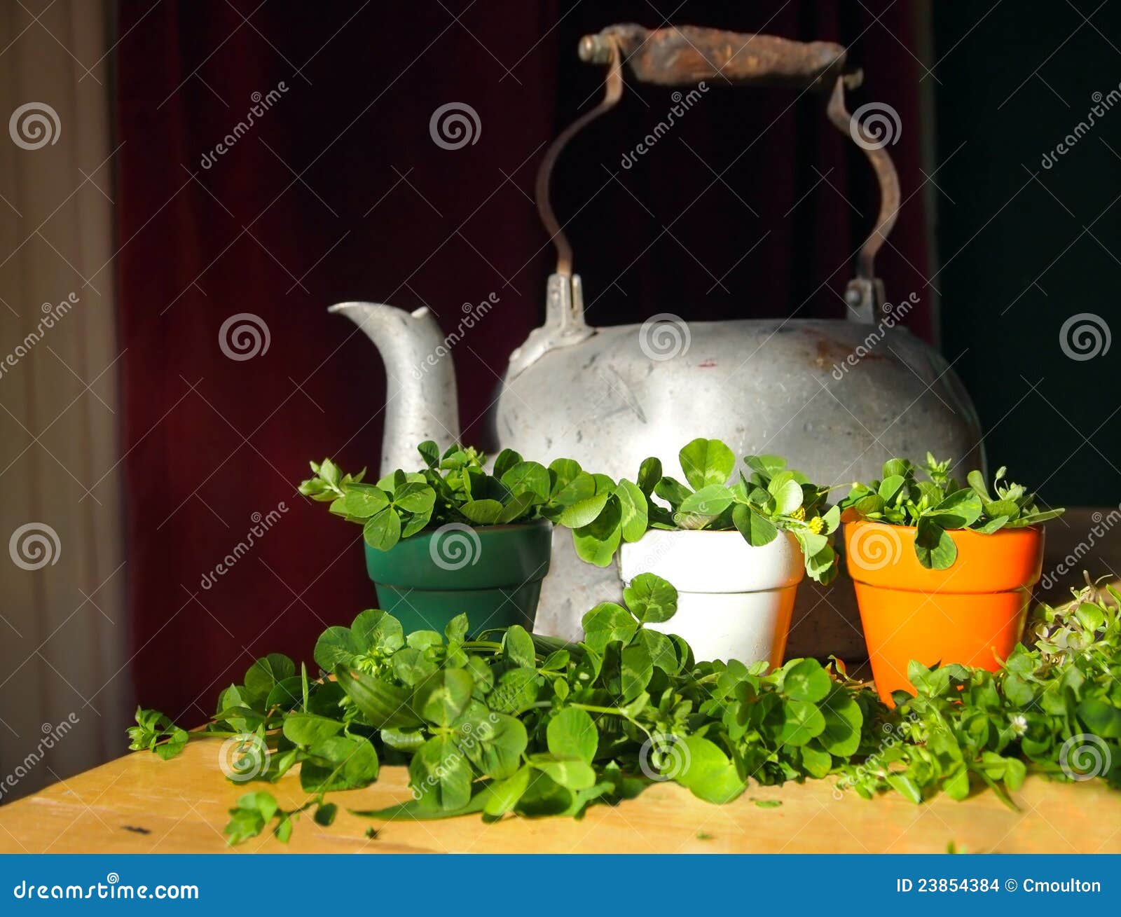 Irish Flower Pot Shamrocks stock photo. Image of shamrocks - 23854384
