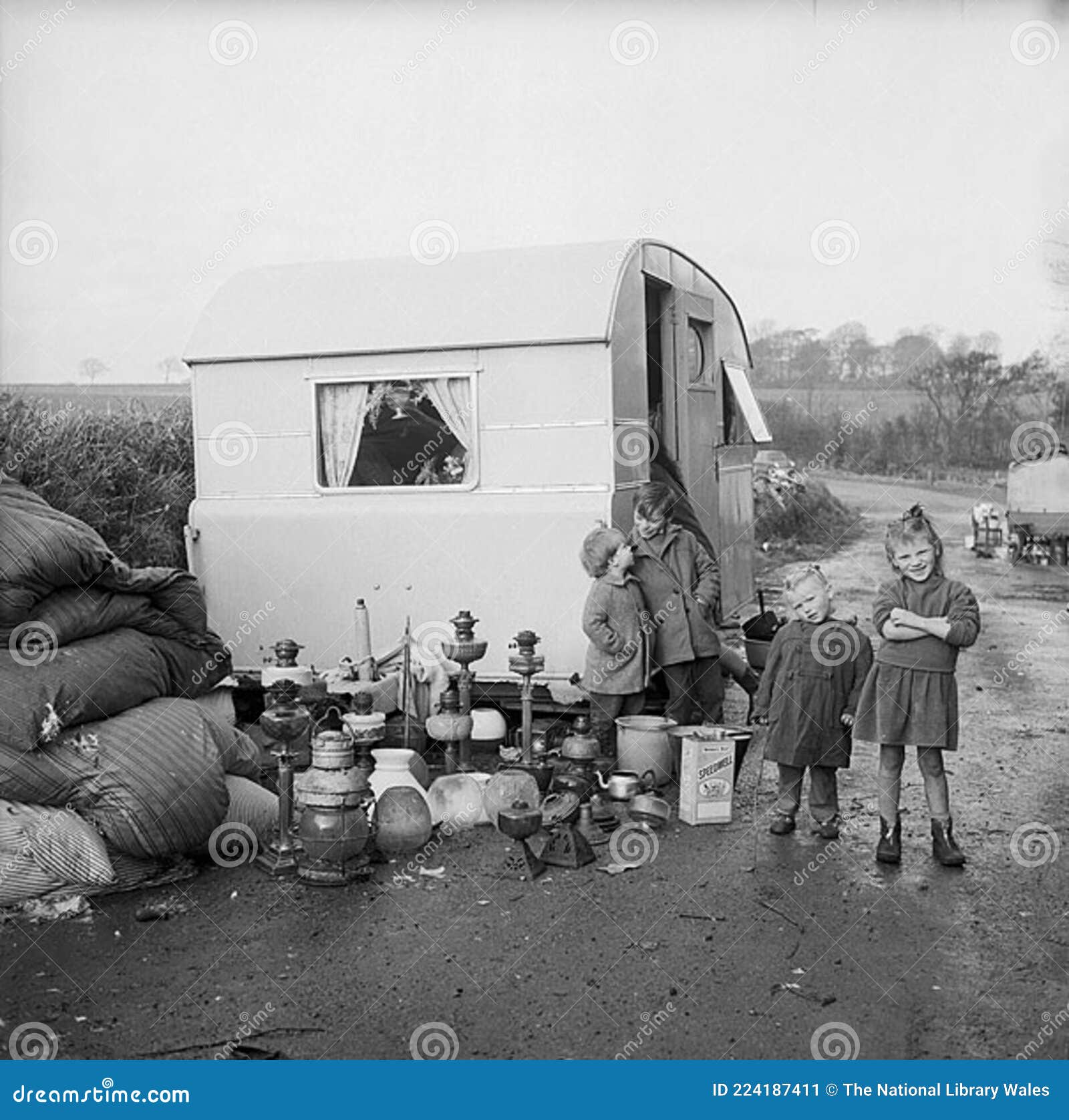 Irish Gypsies In Anglesey Picture. Image: 224187411