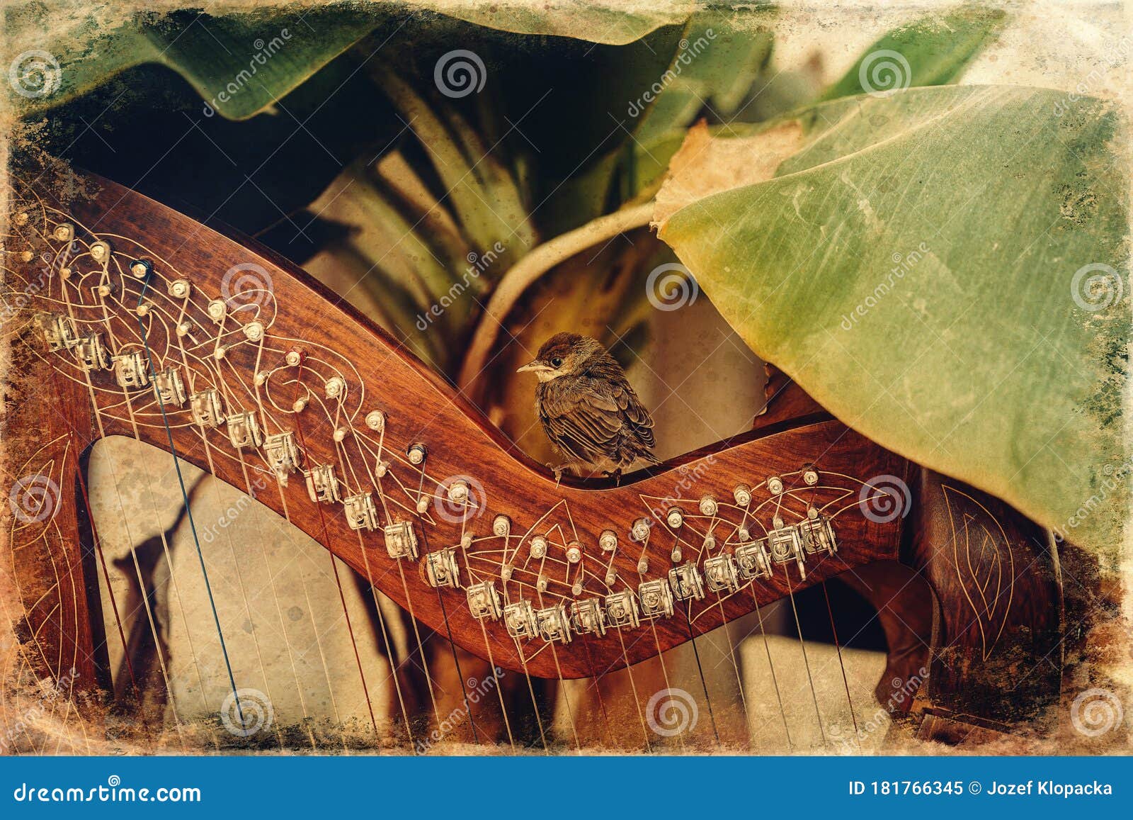Irish Harp and Smal Bird. Instrument Closeup. Stock Image - Image of ...