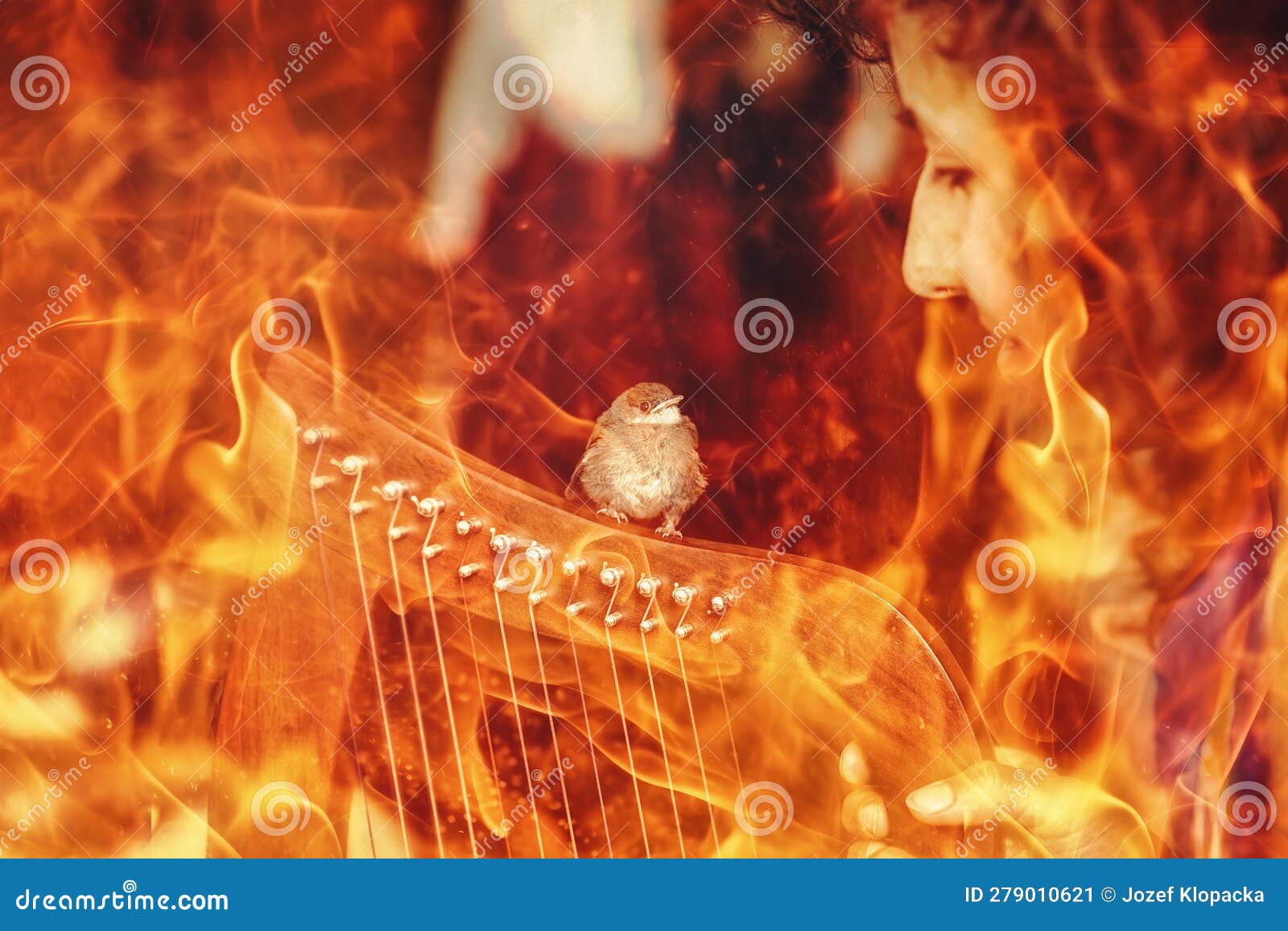 Irish Harp and Smal Bird. Instrument Closeup. Stock Image - Image of ...