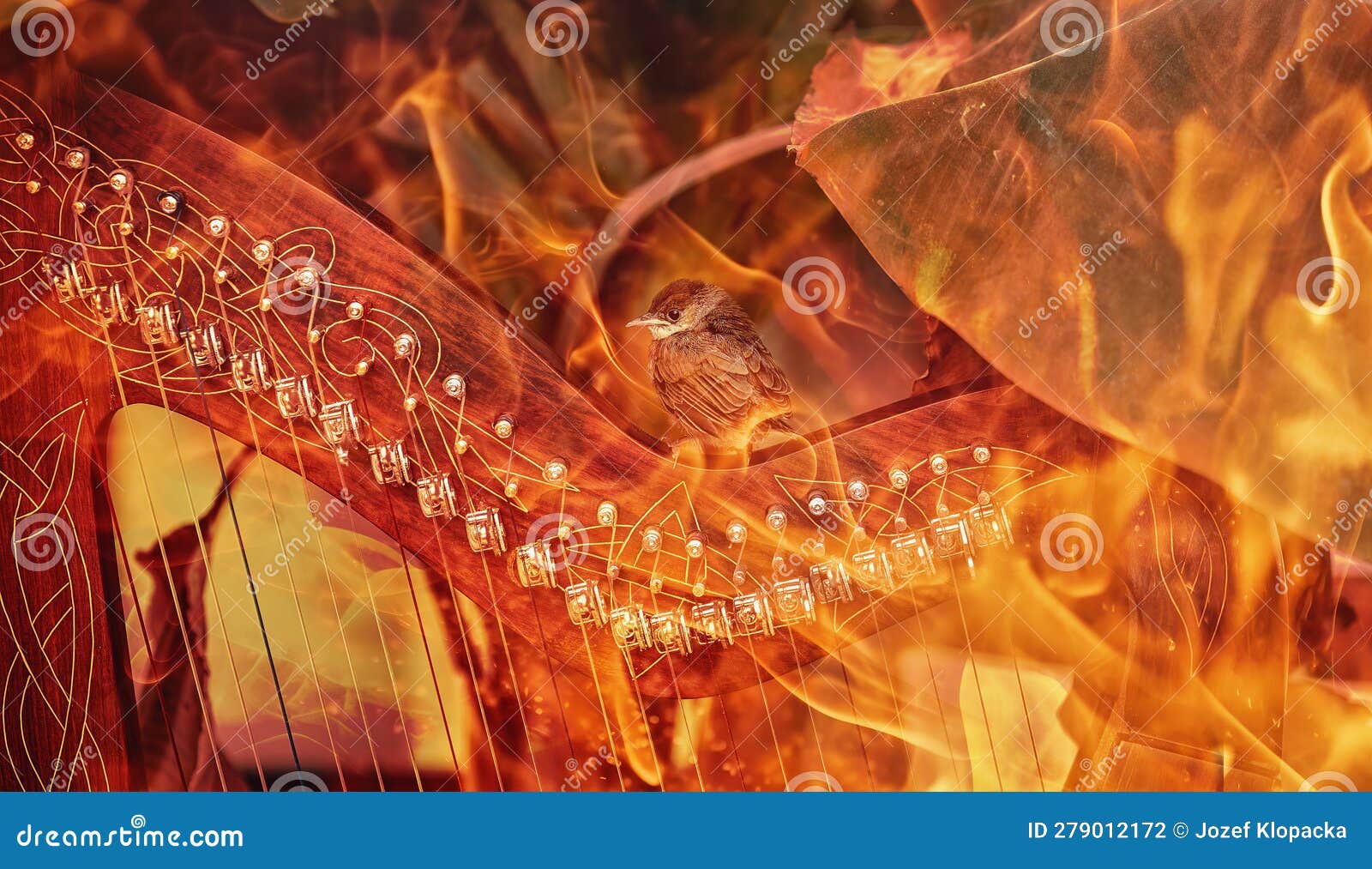 Irish Harp and Smal Bird. Instrument Closeup. Fire Effect. Stock Photo ...