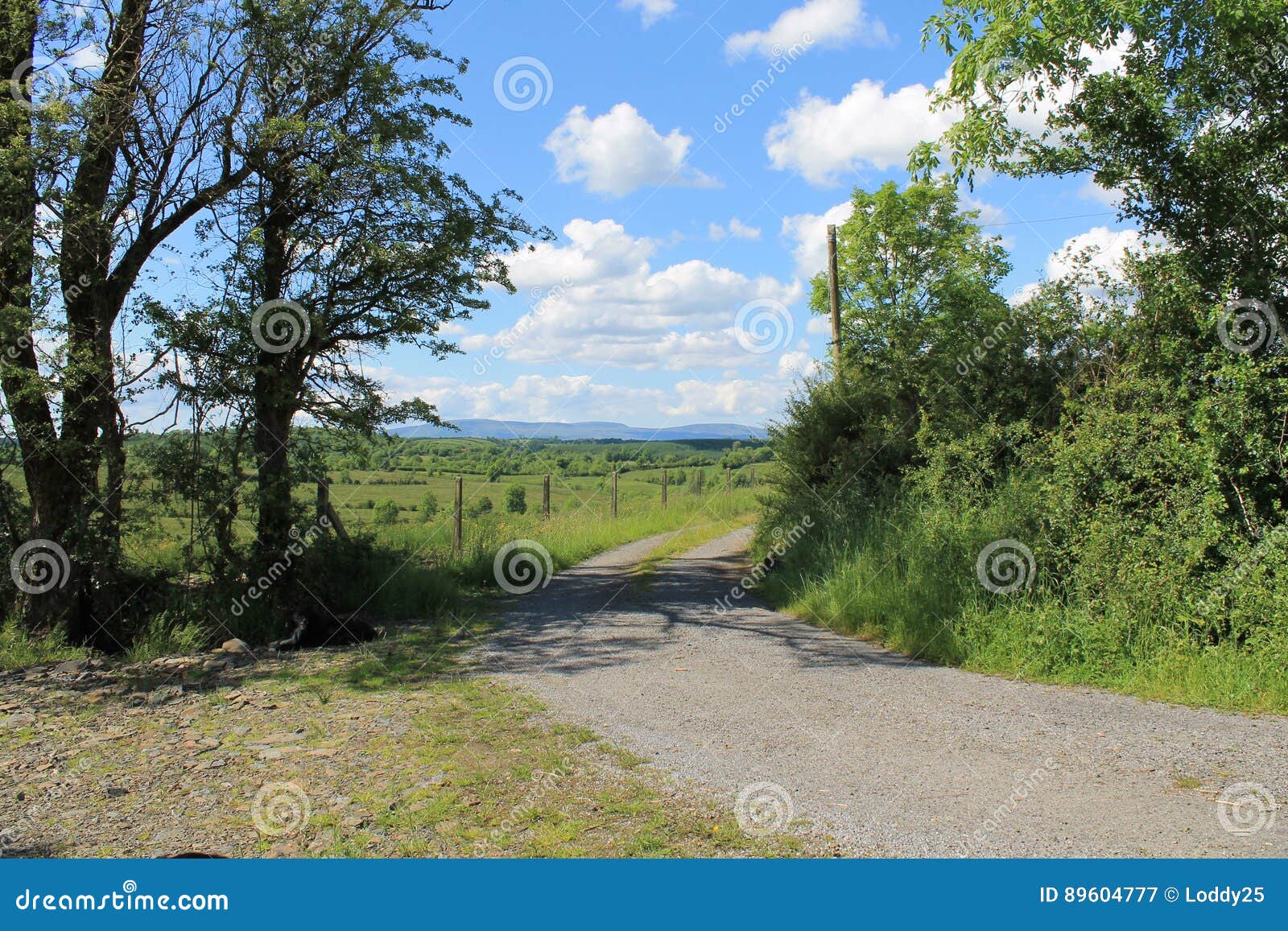 Irish Laneway Stock Photos - Free & Royalty-Free Stock Photos from ...