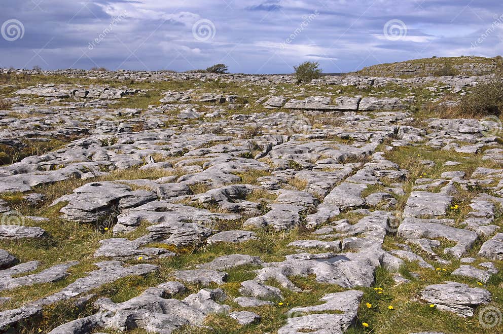 Irish limestone landscape stock image. Image of clare - 9849727