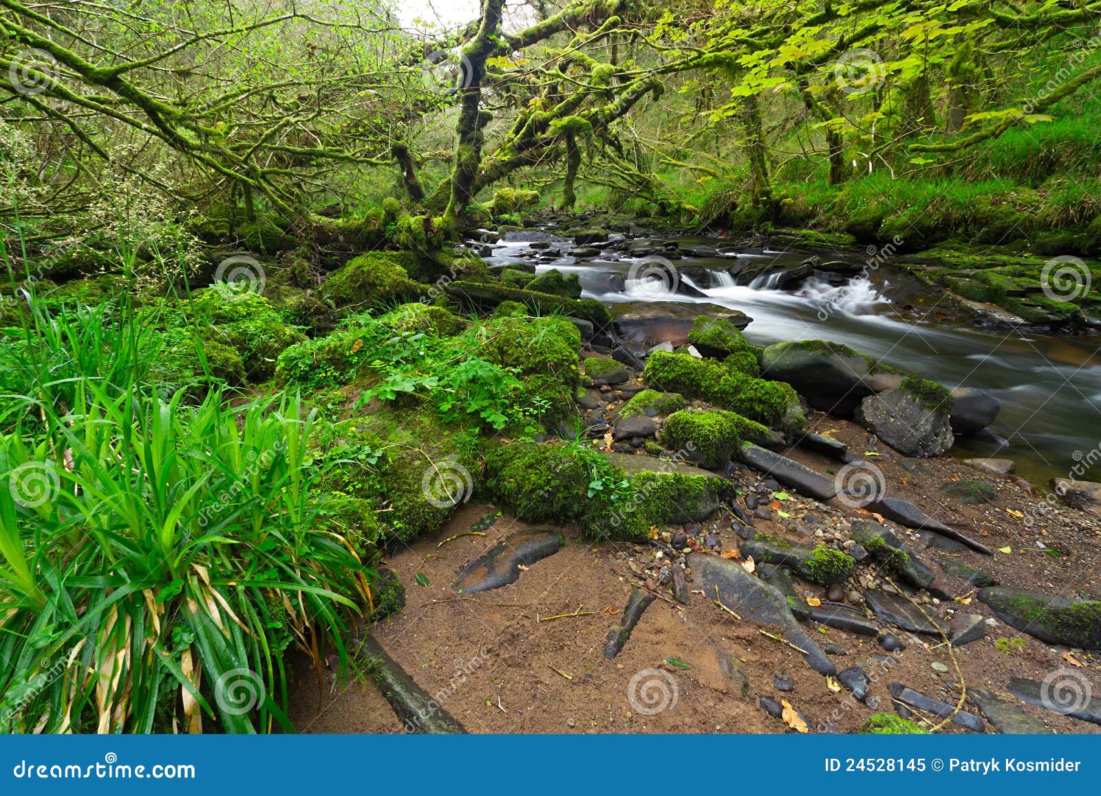 Irish Nature Scenery with Creek Stock Image - Image of cascade, cloud ...