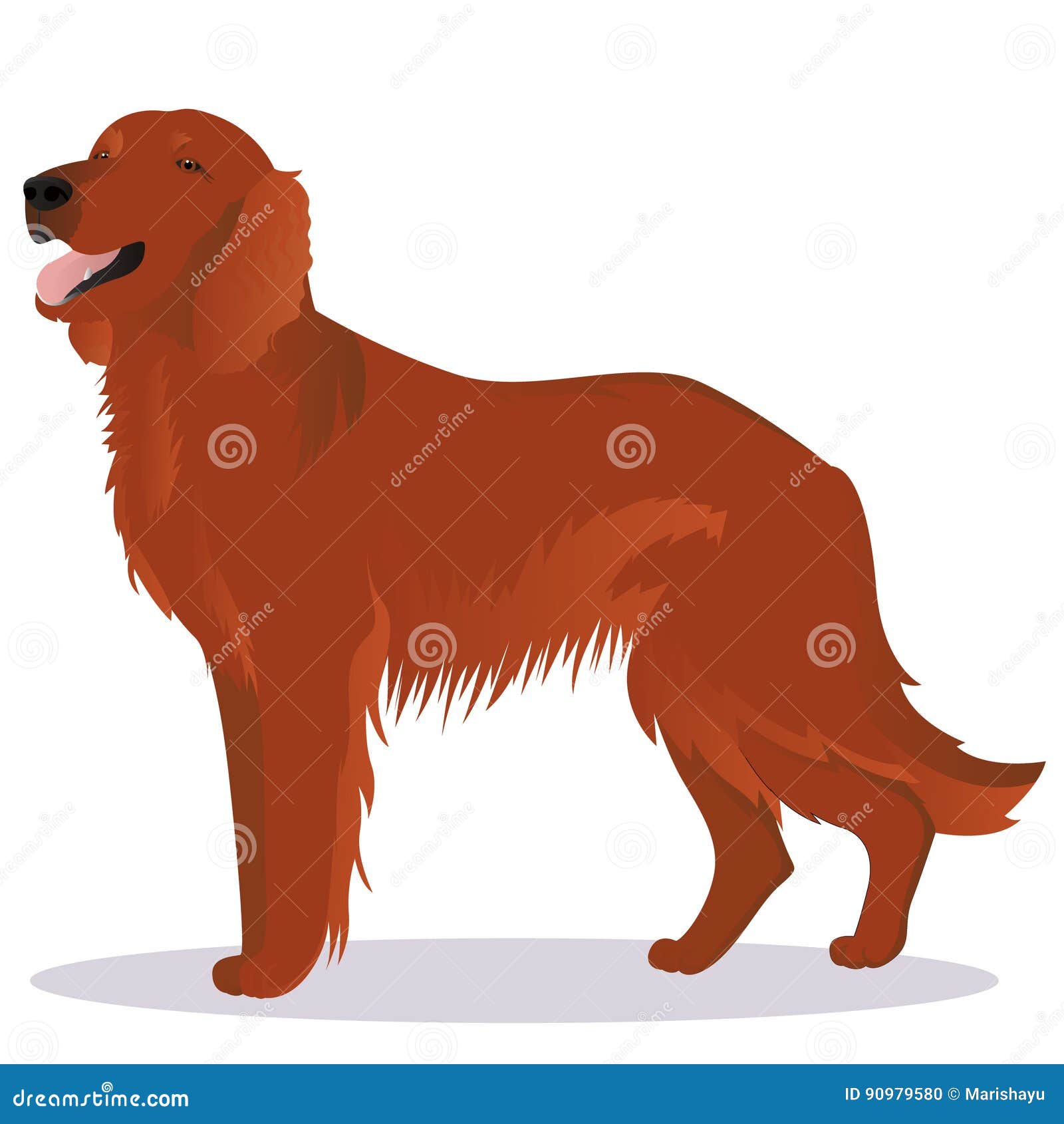 Irish red setter dog stock illustration. Illustration of cartoon - 90979580