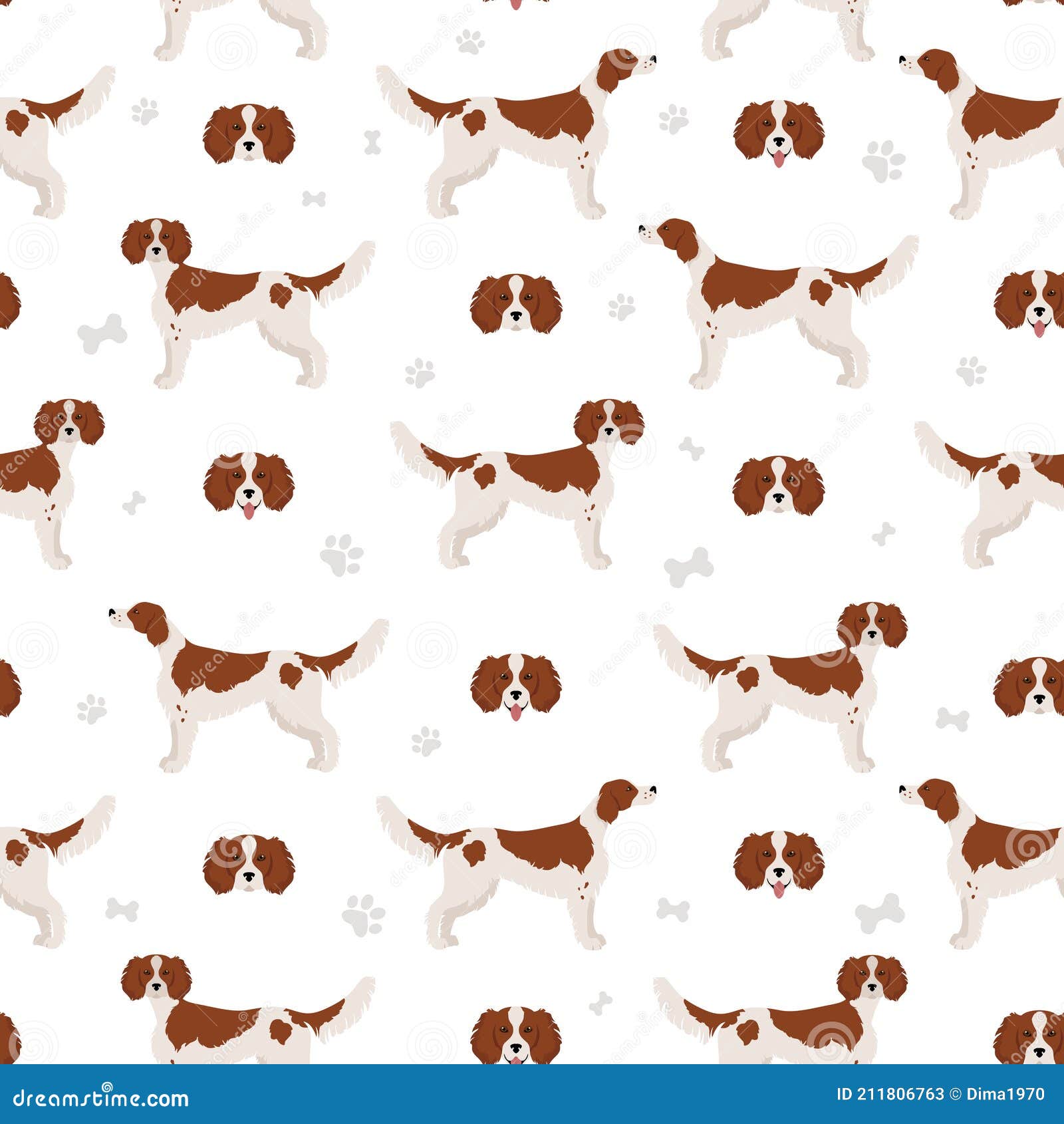 Irish Red and White Setter Seamless Pattern. Different Poses, Coat ...