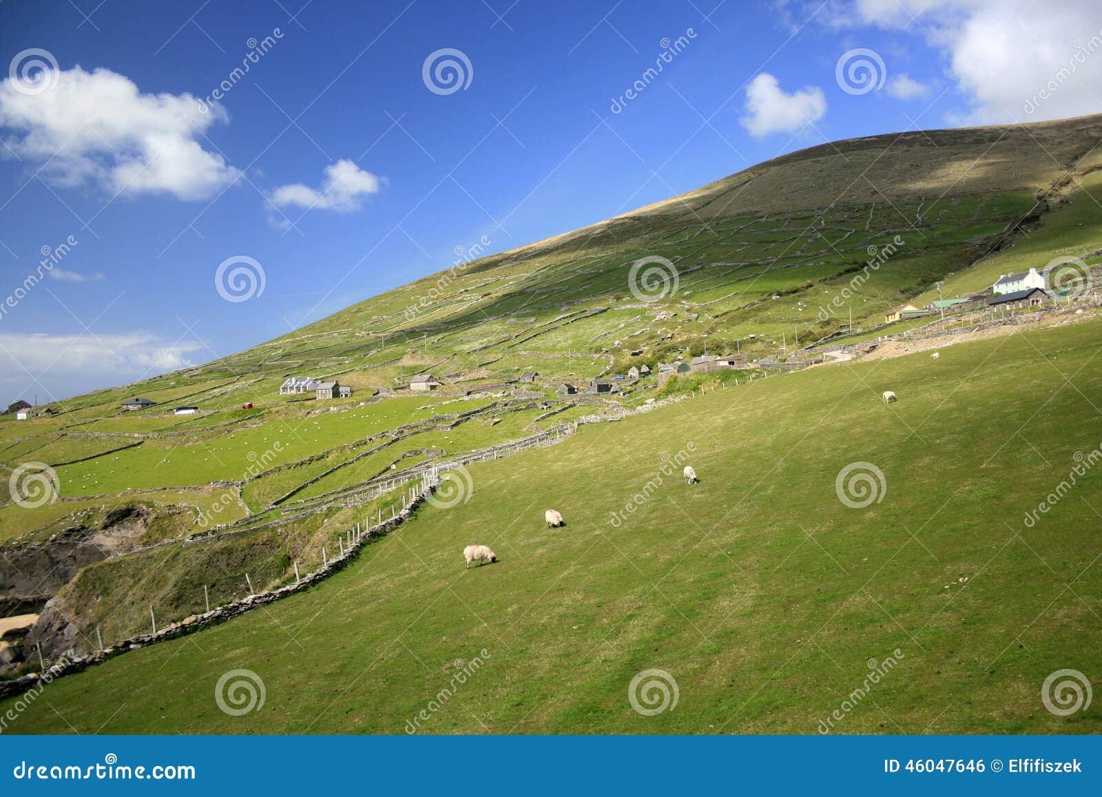 Irish Scenery of Fields, Ireland Stock Photo - Image of ireland ...