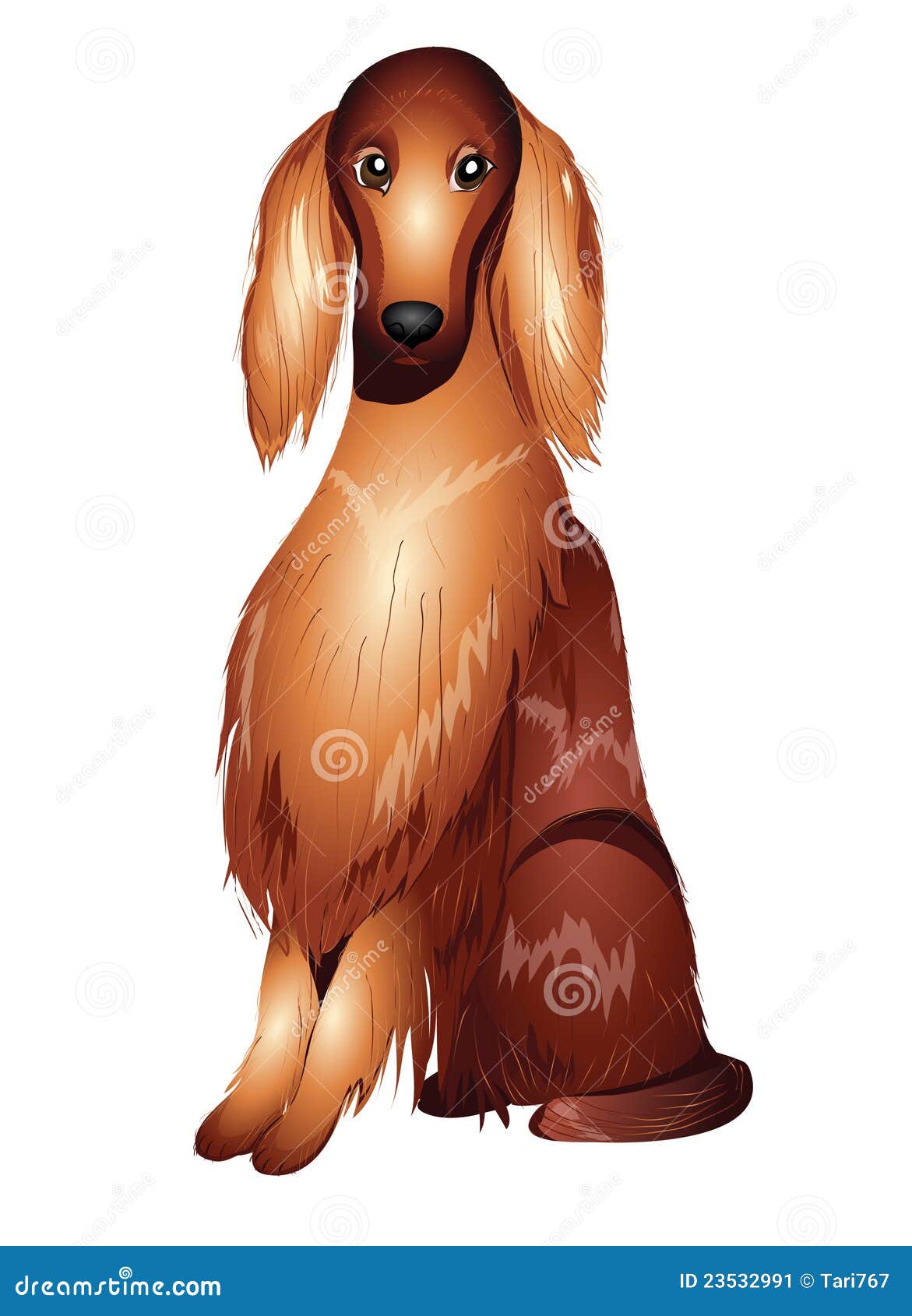Irish setter stock vector. Illustration of friend, line - 23532991