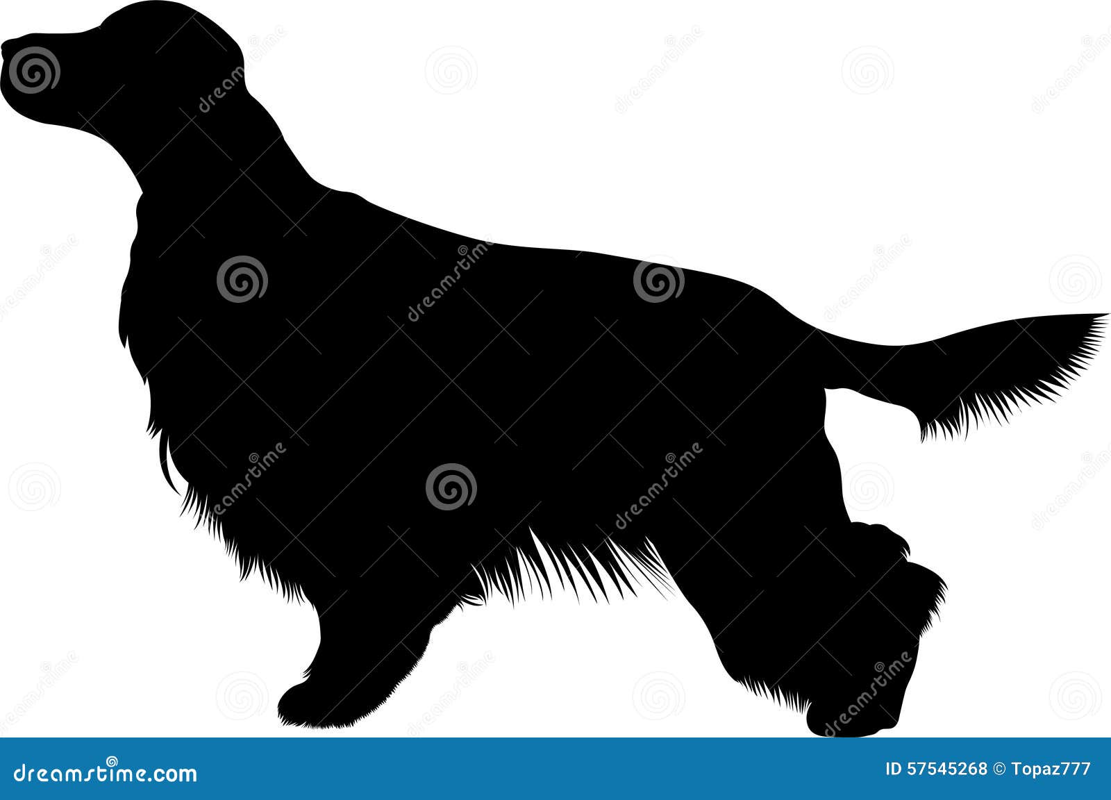 Irish Setter stock vector. Illustration of cute, irish - 57545268