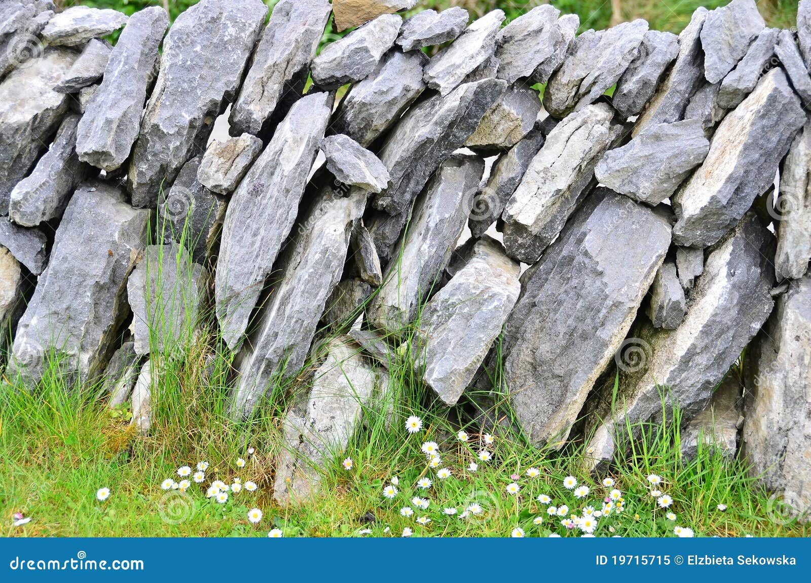 Irish stone wall stock image. Image of border, fence - 19715715