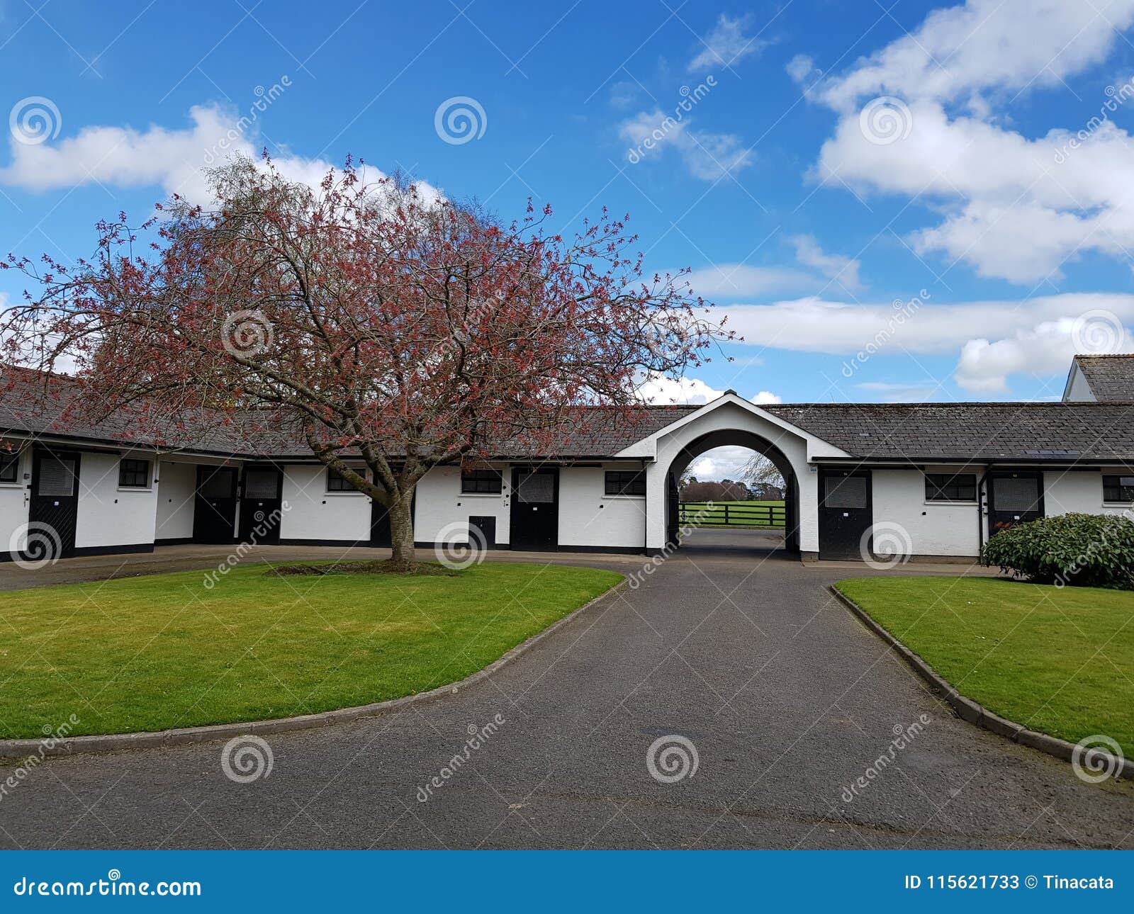 Irish stud courtyard stock image. Image of blue, amazing - 115621733