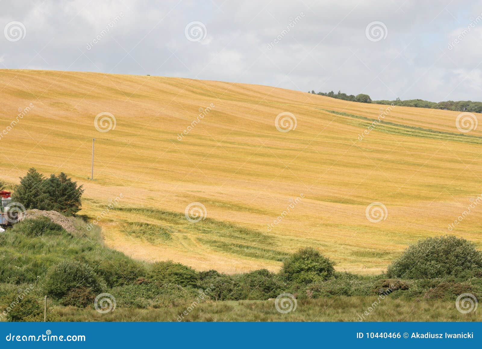 Irish summer scenery stock photo. Image of harvest, farm - 10440466