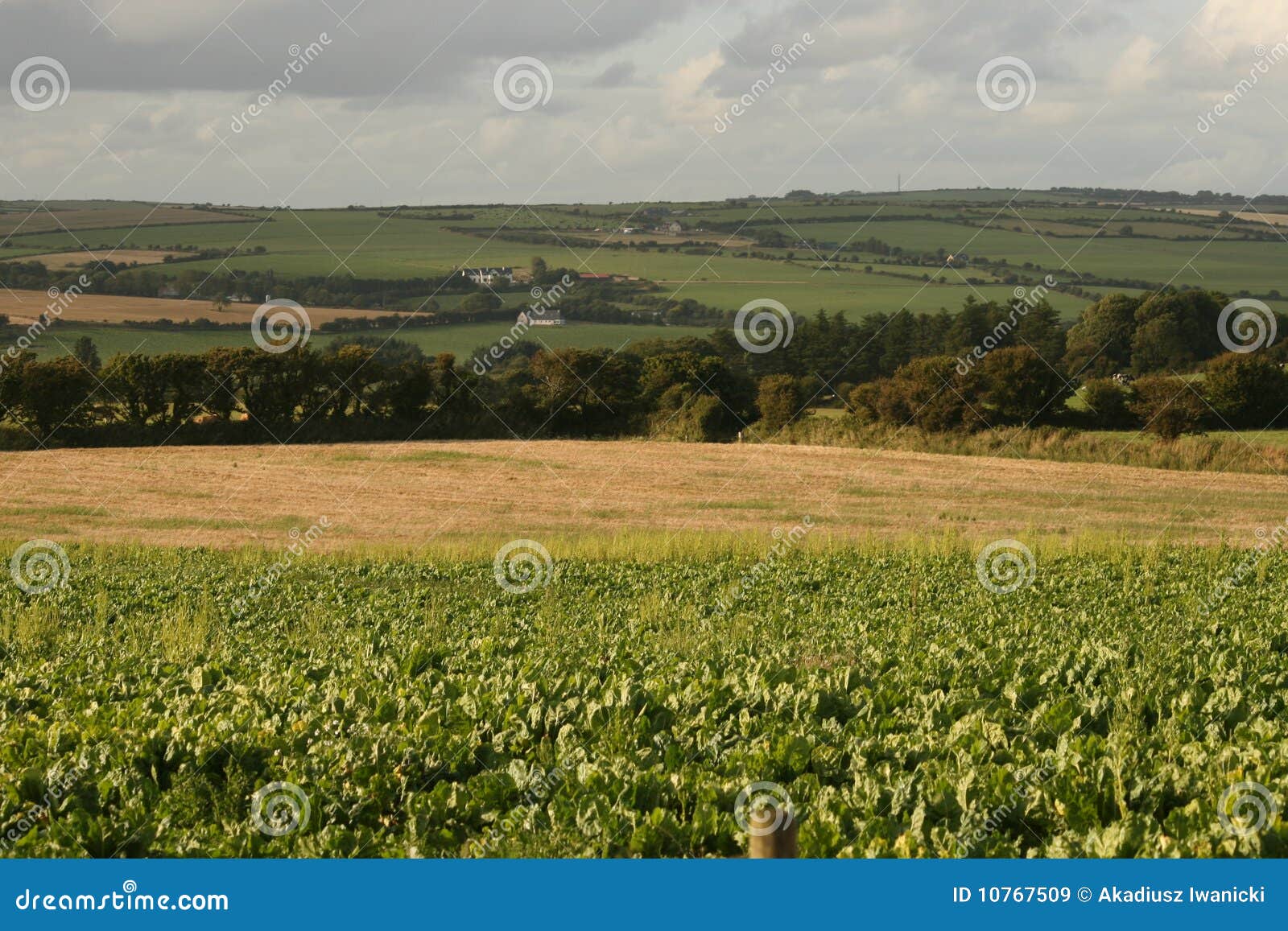 Irish summer scenery stock image. Image of tractor, nature - 10767509