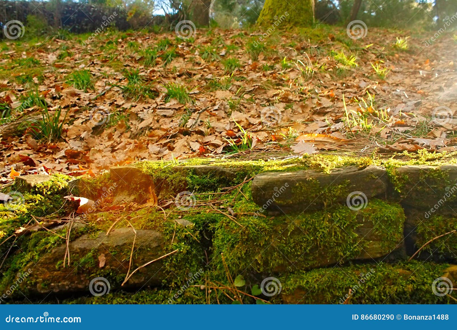 Irish Texture. Stock Photo | CartoonDealer.com #86680290