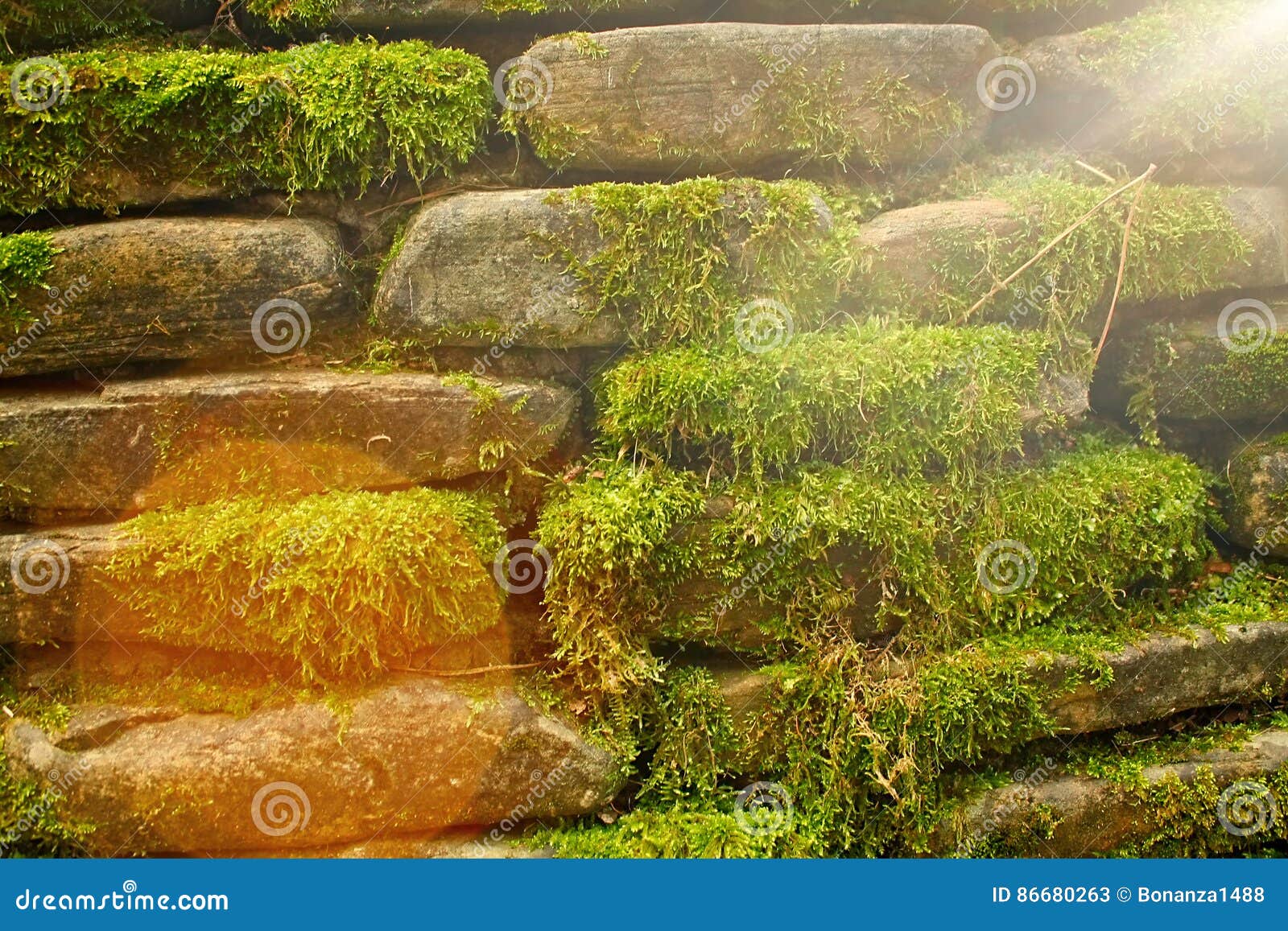 Irish Texture. Stock Photo | CartoonDealer.com #86680290