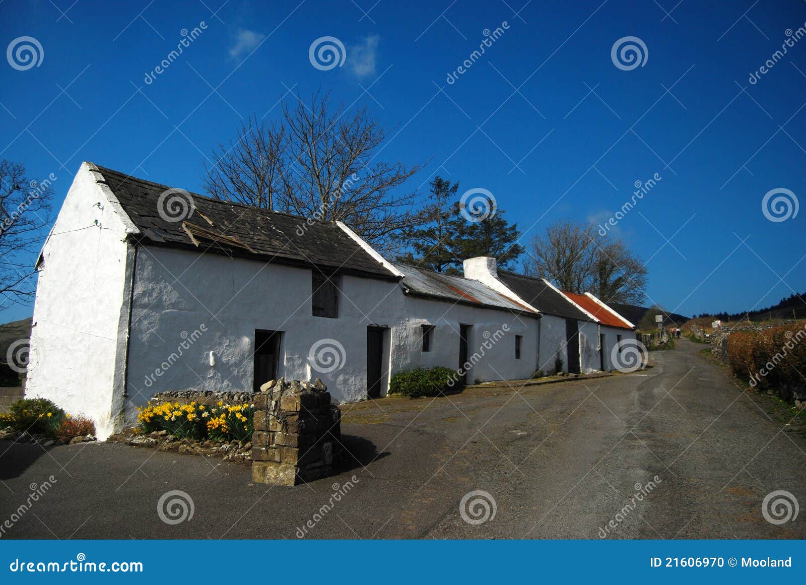 Irish Traditional House stock photo. Image of house, farm - 21606970