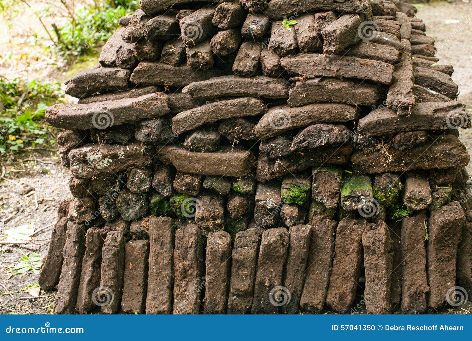 Irish Turf stock photo. Image of energy, organic, drying - 57041350