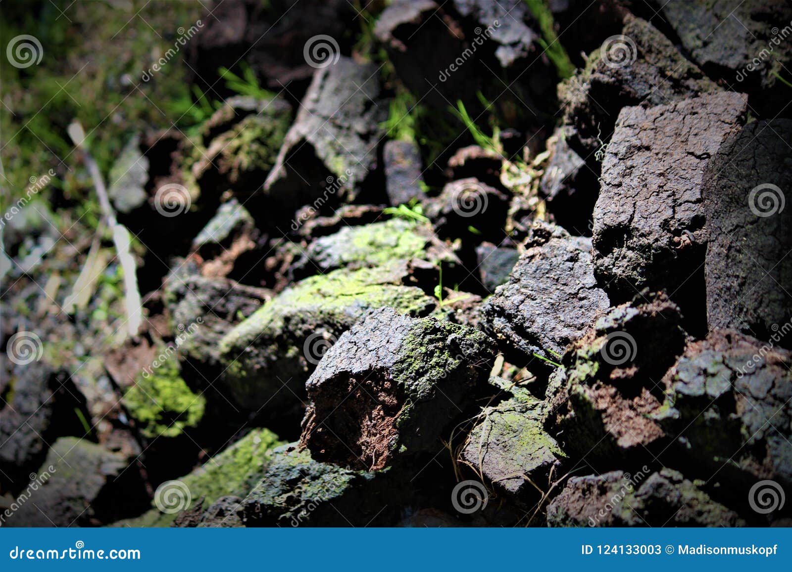 Irish Turf Used for Energy stock image. Image of turf - 124133003