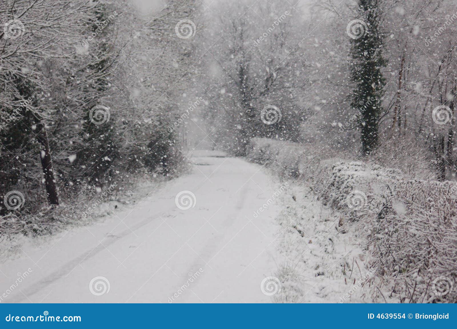 Irish Winter stock photo. Image of winter, irish, ireland - 4639554