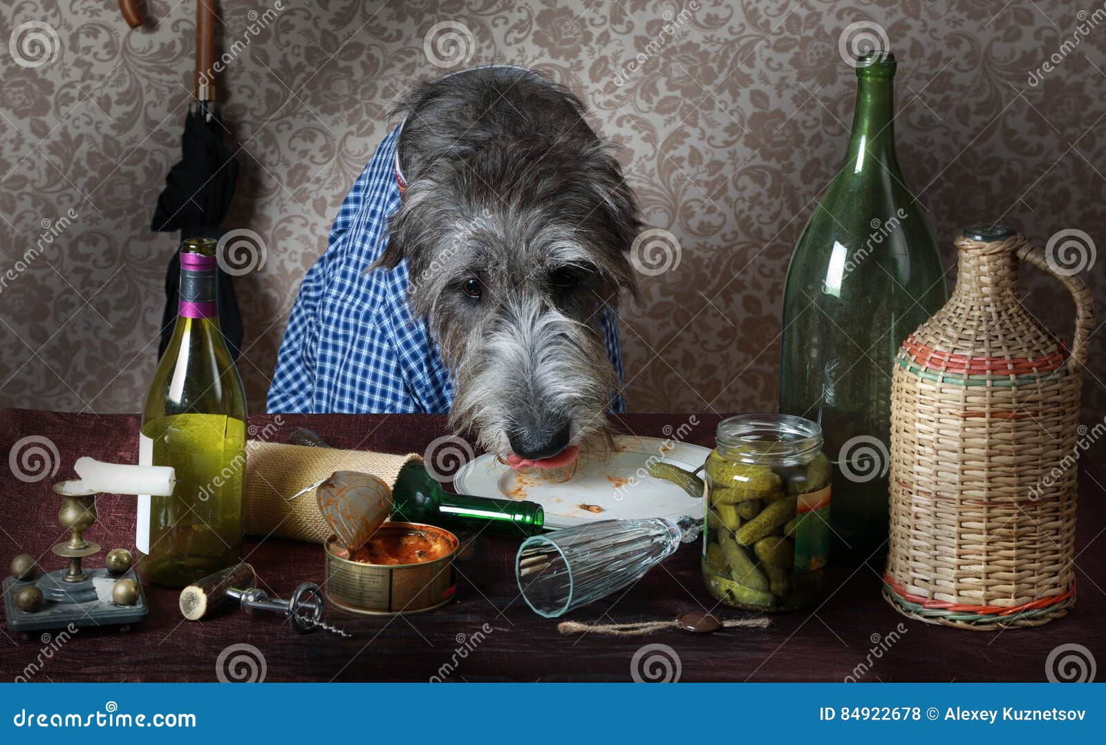 Blue Irish Wolfhound Puppies