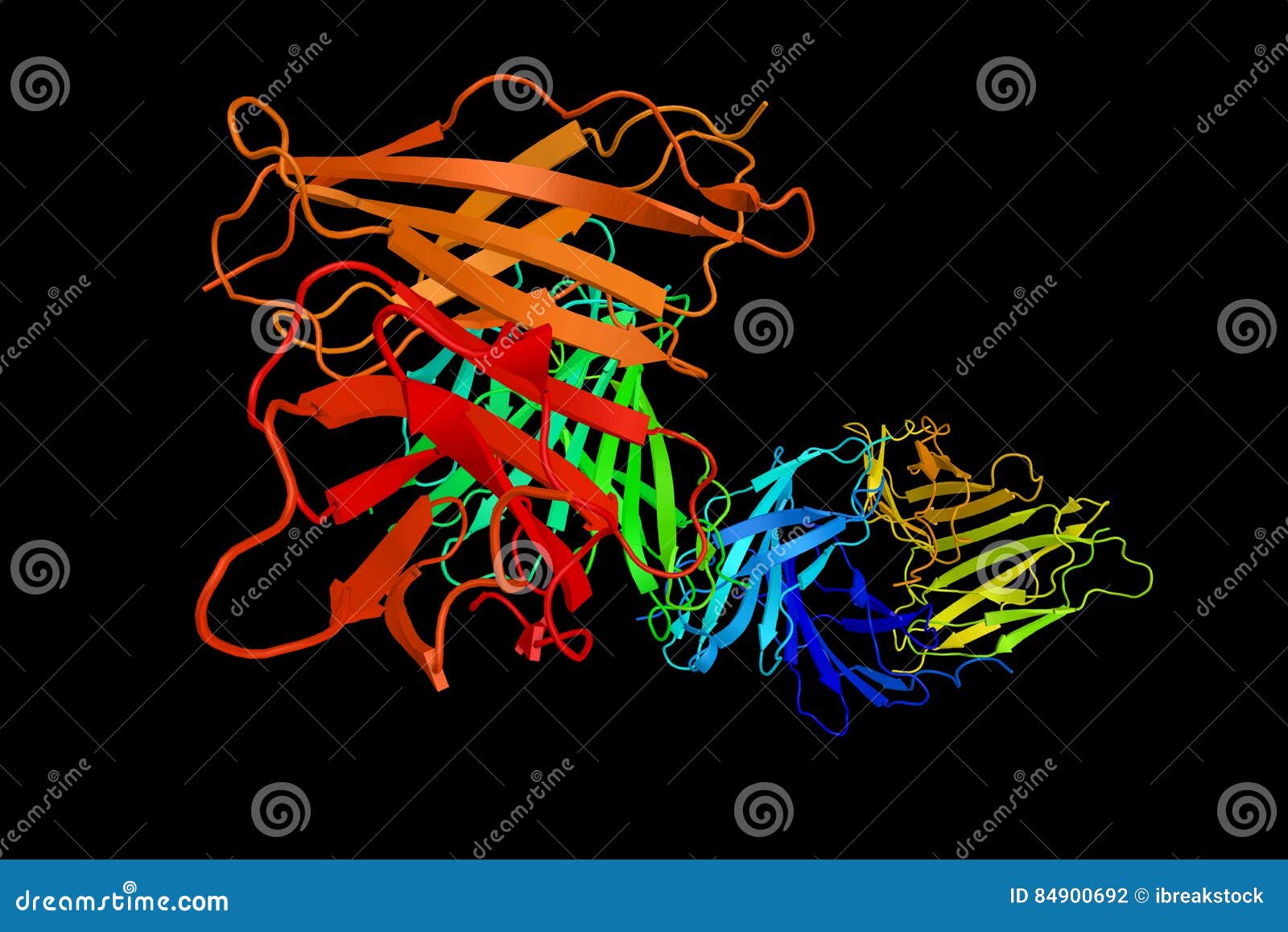Irisin, a Cleaved Version of FNDC5. Promotes Conversion of White Stock ...