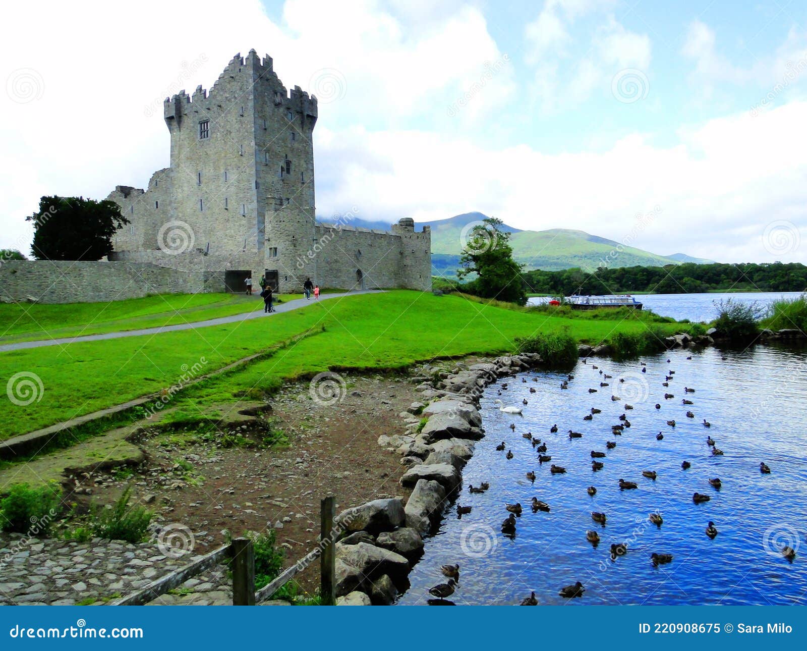 Irlanda Ross Castillo Kerry Killarney Castello Di Ross Irlanda Imagen ...