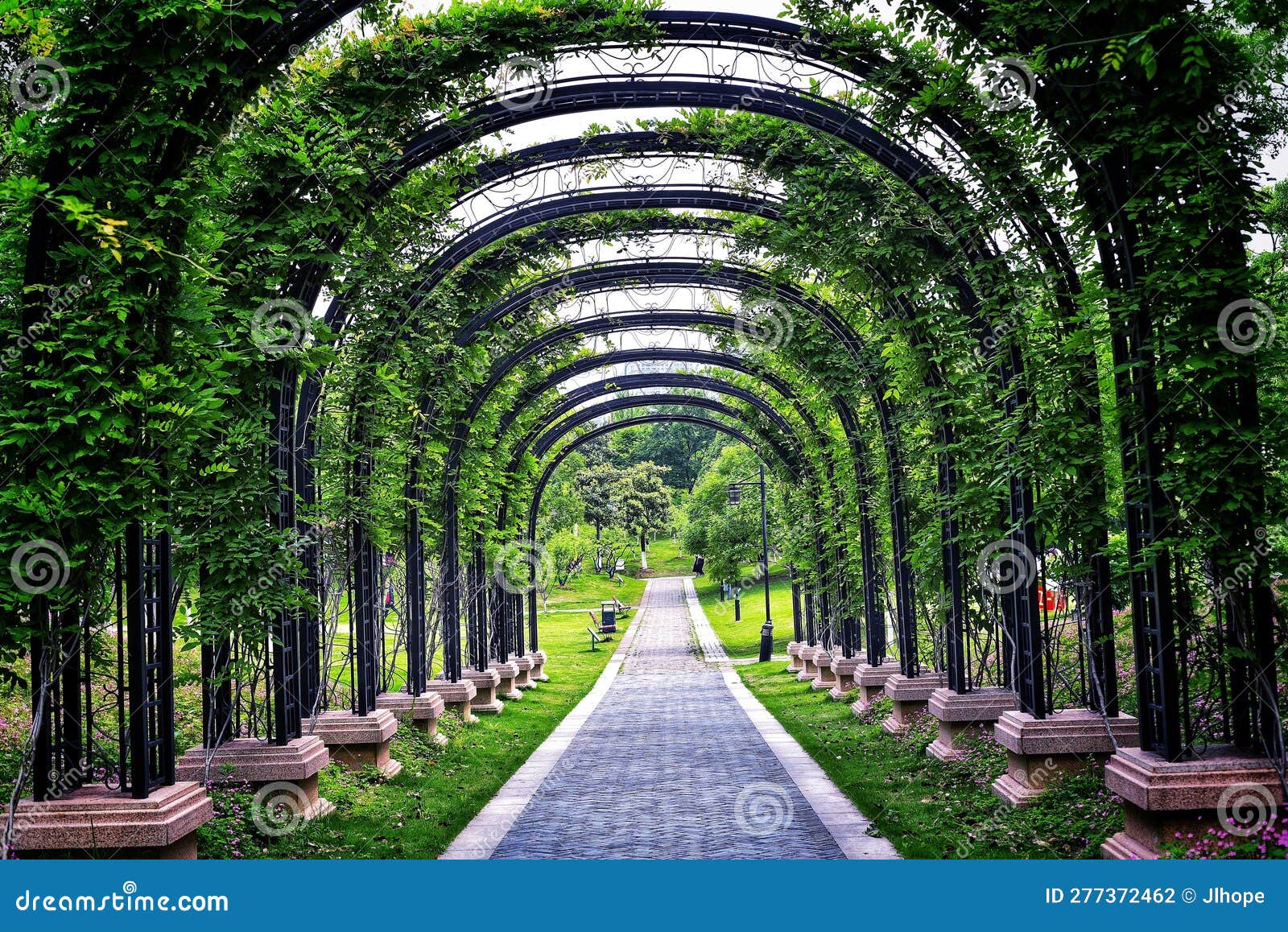Arch flowers rack stock photo. Image of arch, iron, woods - 277372462