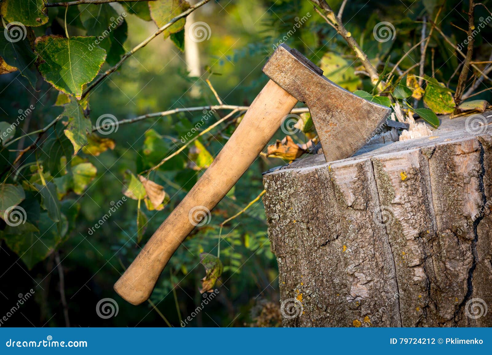 Iron axe on tree stump stock photo. Image of leaf, block - 79724212