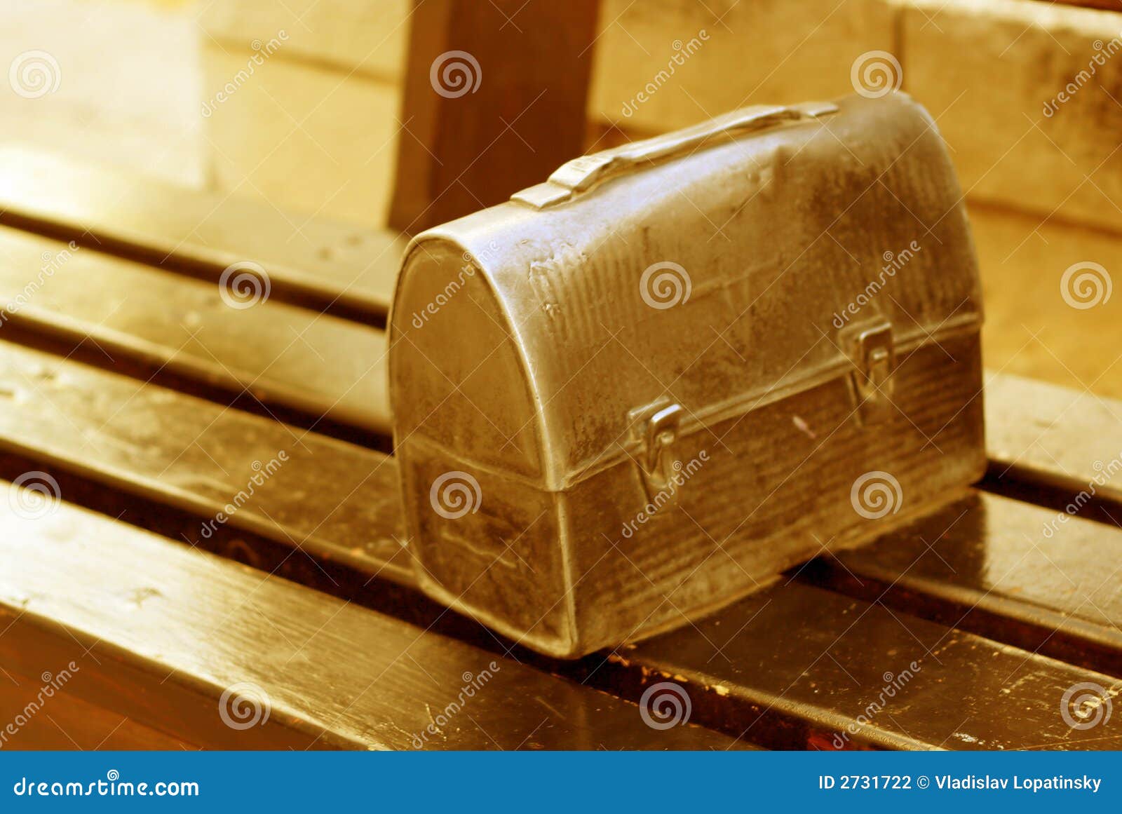 Iron bag stock photo. Image of iron, handle, case, heavy - 2731722