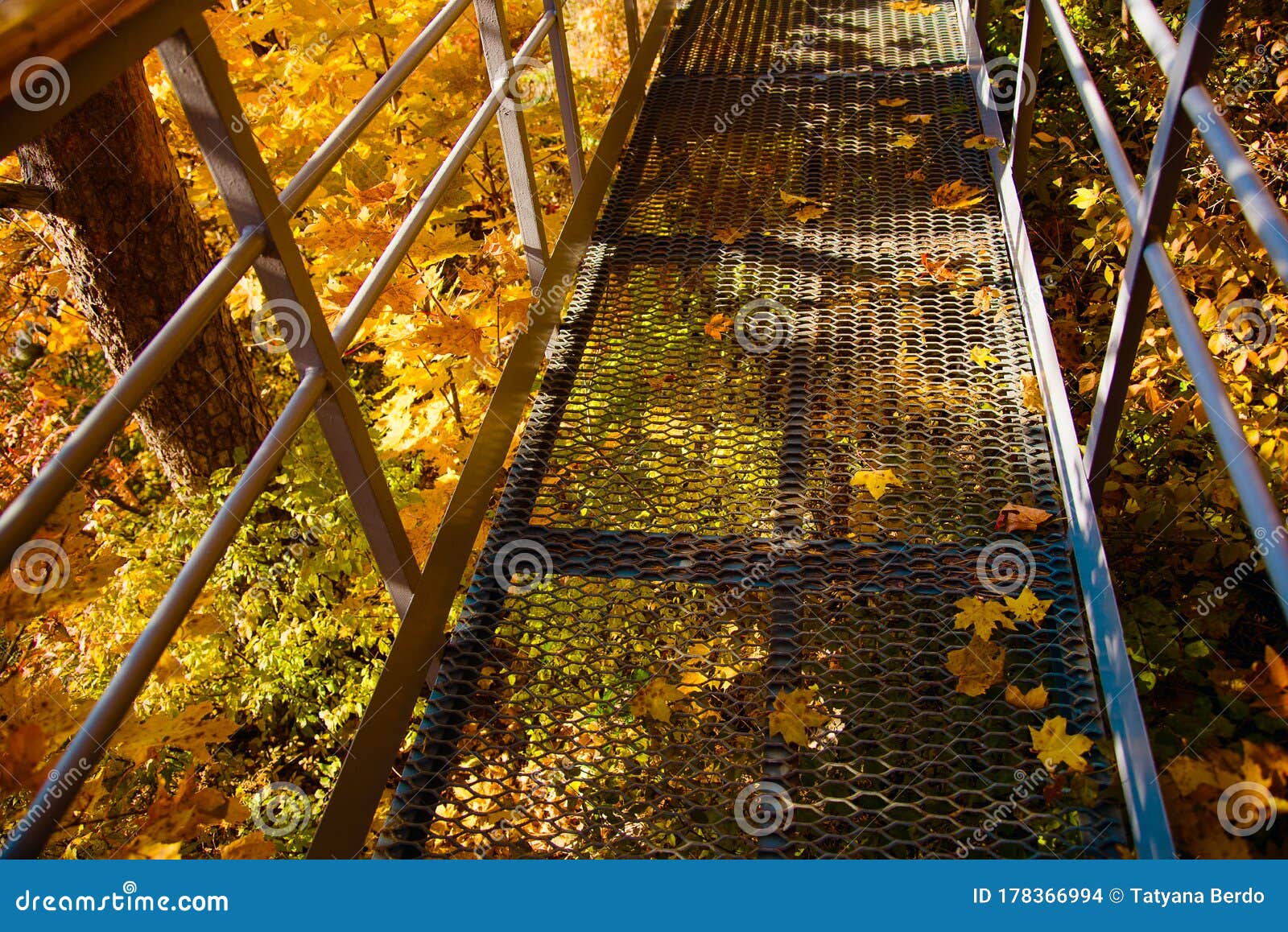 Iron Bridge Over Autumn Trees Stock Photo - Image of outdoor, fall ...