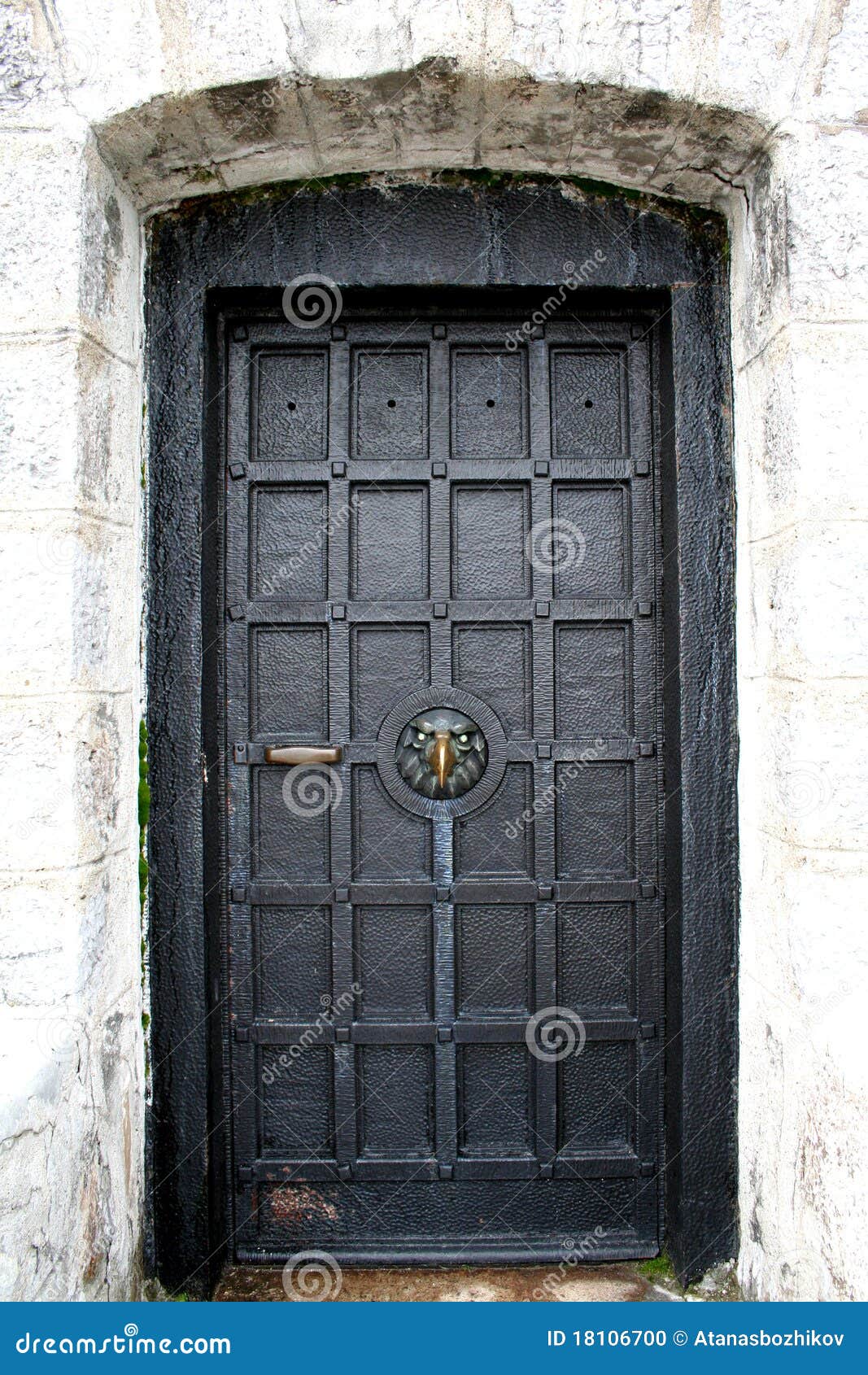 Old Iron Door Royalty-Free Stock Photo | CartoonDealer.com #22947669