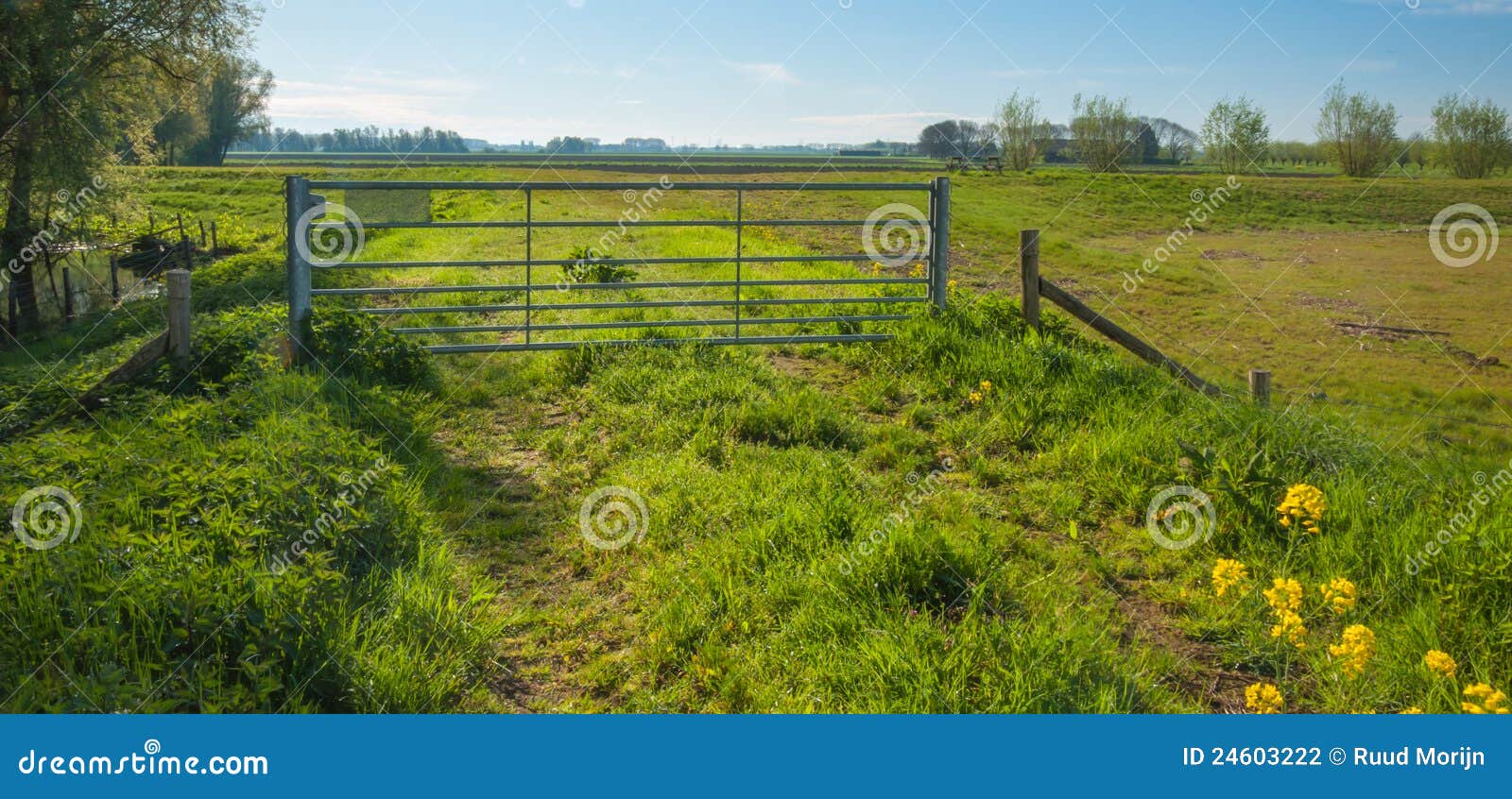 Iron Fence in a Dutch Rural Landscape Stock Photo - Image of meadow ...