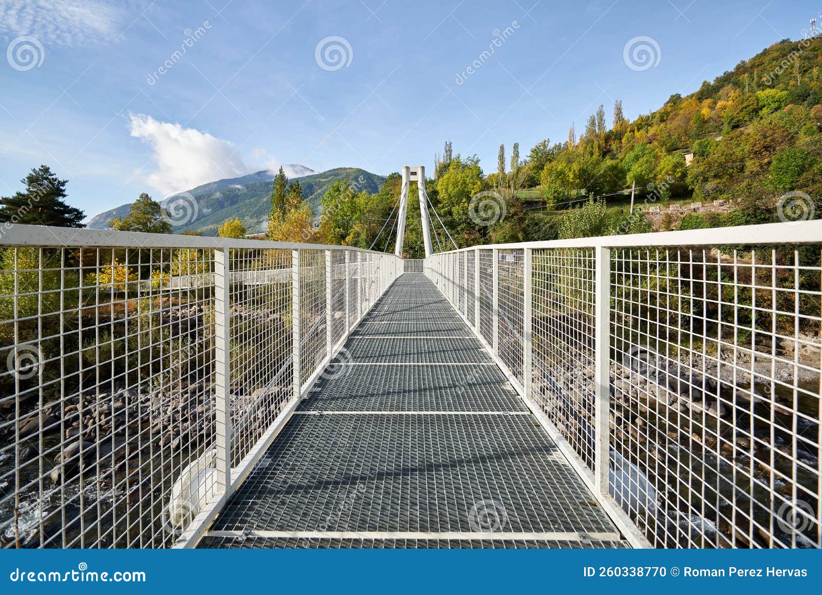 Iron Footbridge Crossing a River Surrounded by Vegetation Stock Photo ...