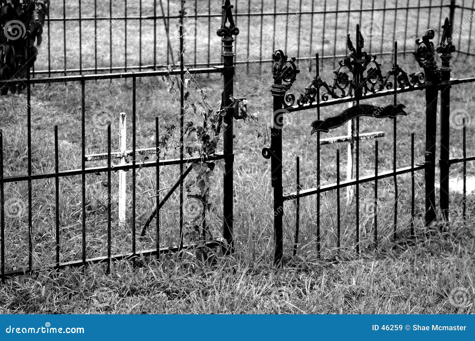 Iron Gate stock image. Image of inside, dieing, fence, death - 46259
