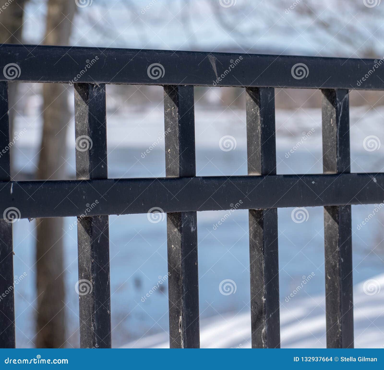 Iron gate stock photo. Image of nature, gate, outside - 132937664