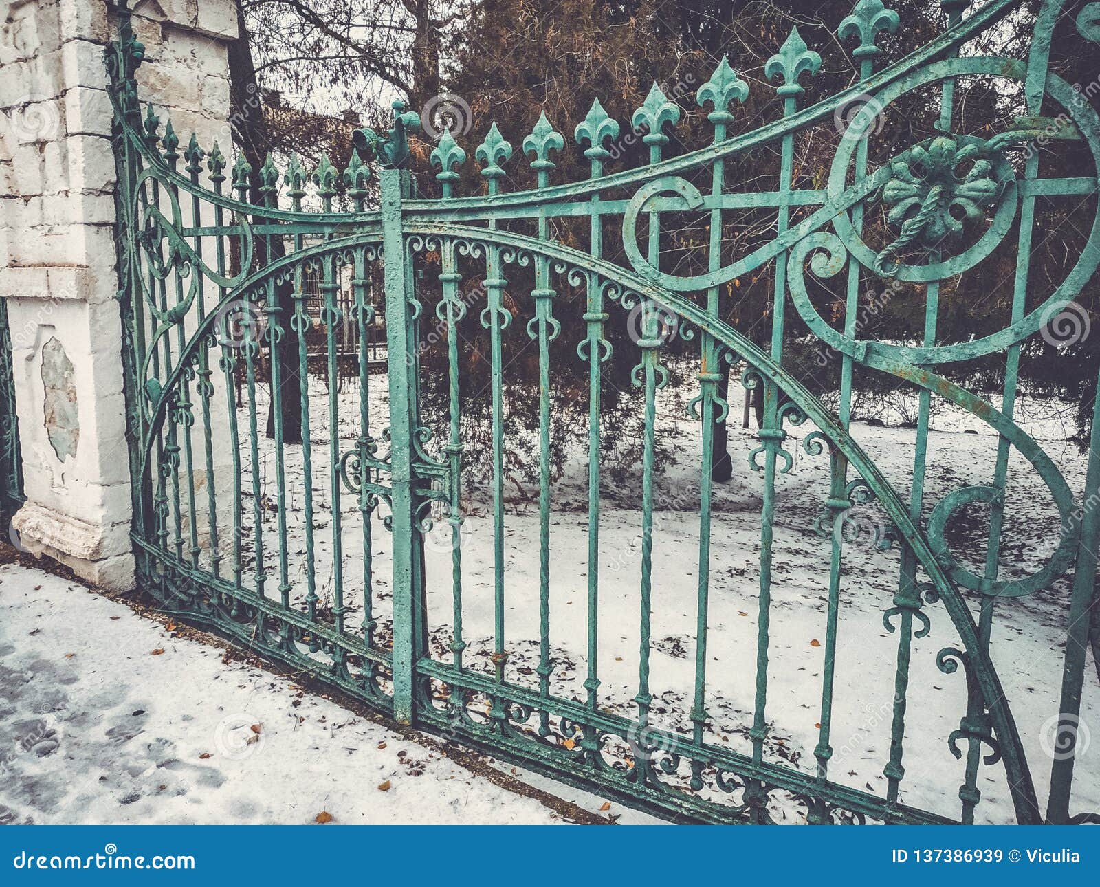 Iron Gate of the Old Design. Green Rusty Gate Stock Image - Image of ...