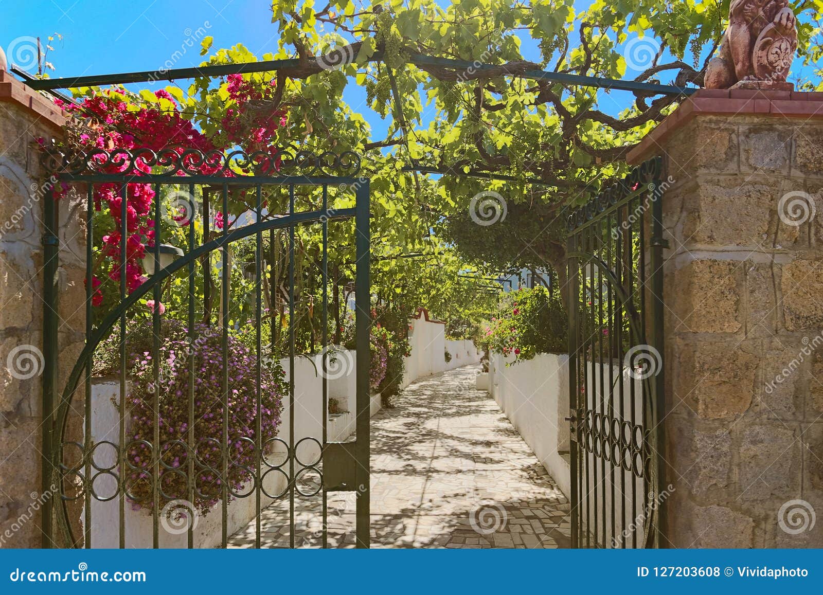 Iron gate editorial stock photo. Image of creeper, gate - 127203608