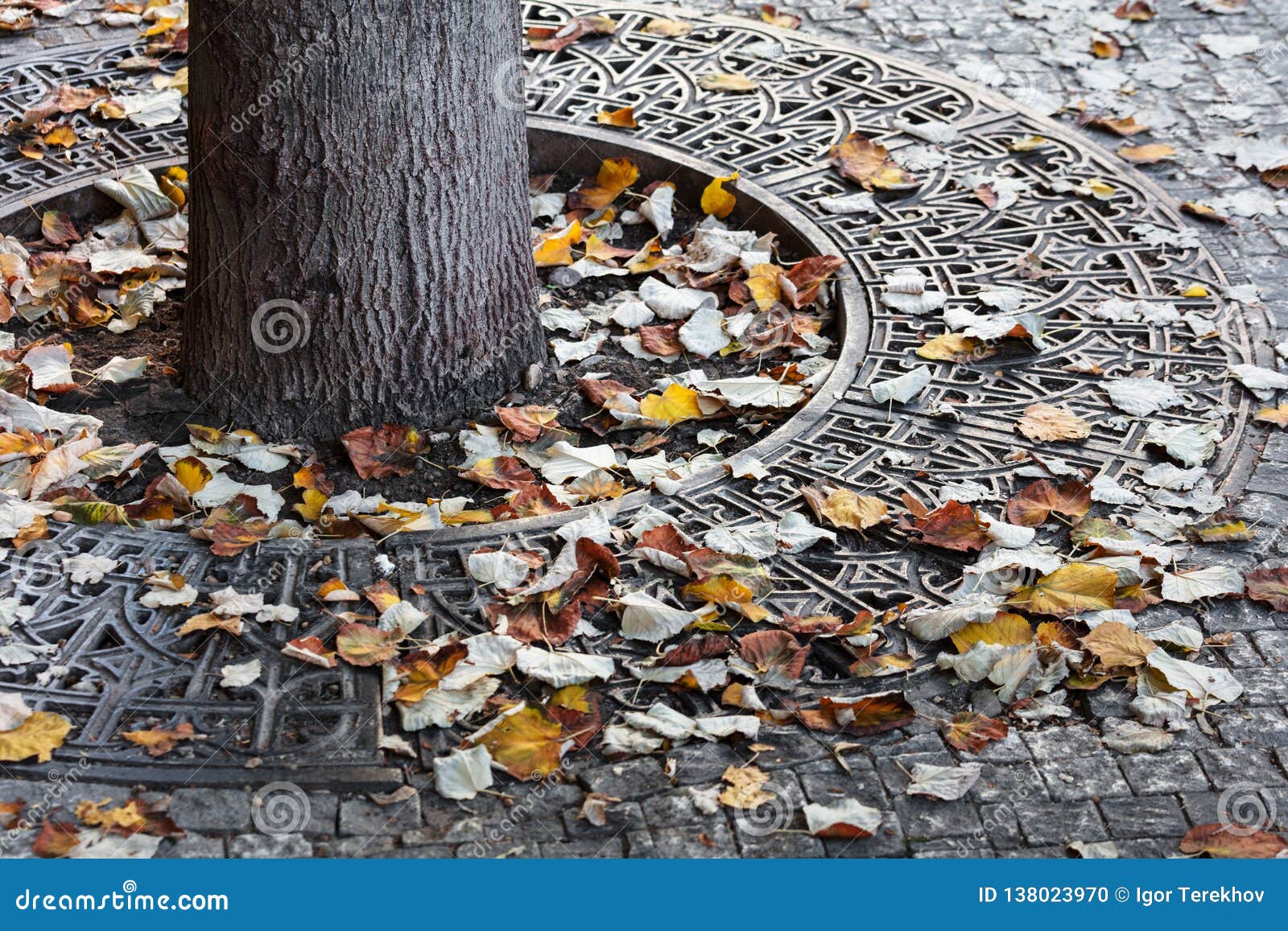 Iron Grates for Protection of Tree Roots in City Stock Photo - Image of ...