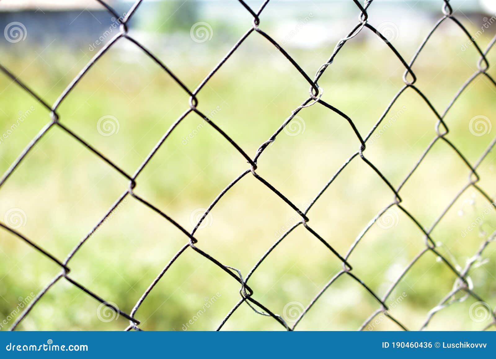 Iron Mesh Netting on the Garden Fence in Summer Stock Photo - Image of ...