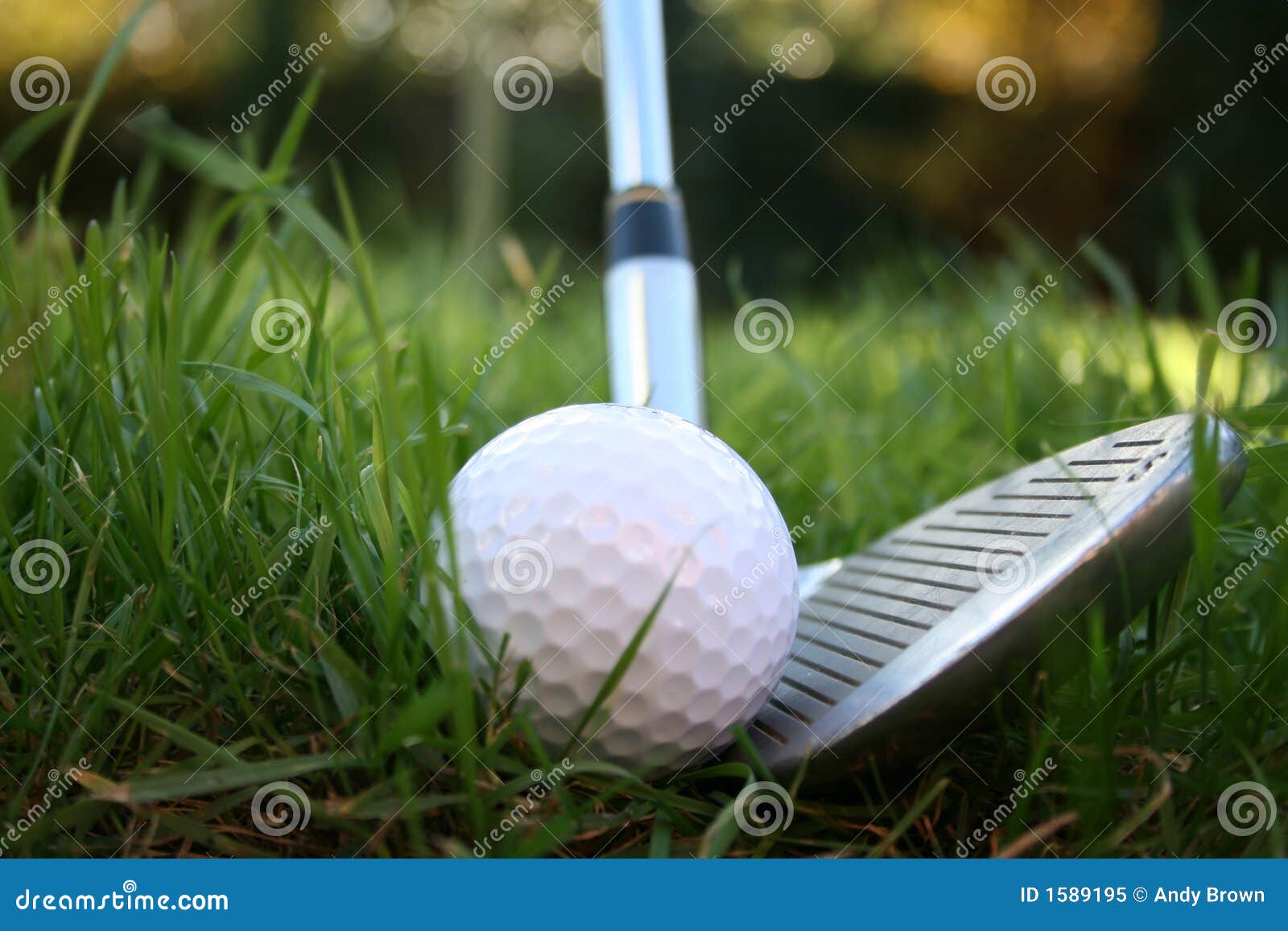 Iron out of the rough 1 stock image. Image of swing, sporting - 1589195