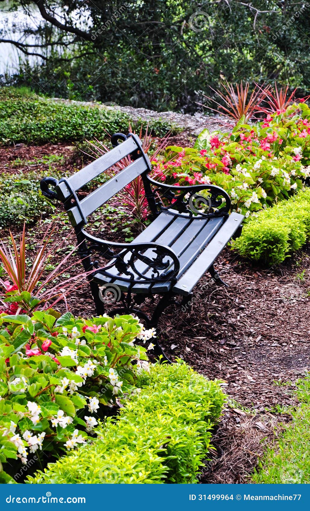 Iron Park Bench Surrounded by Flowers Stock Photo - Image of bench ...