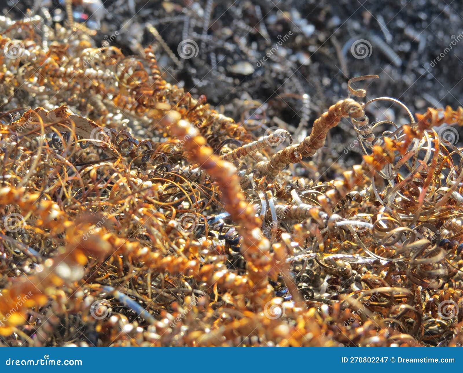 Iron Pieces of All Sizes and Shapes Stock Image - Image of industrial ...