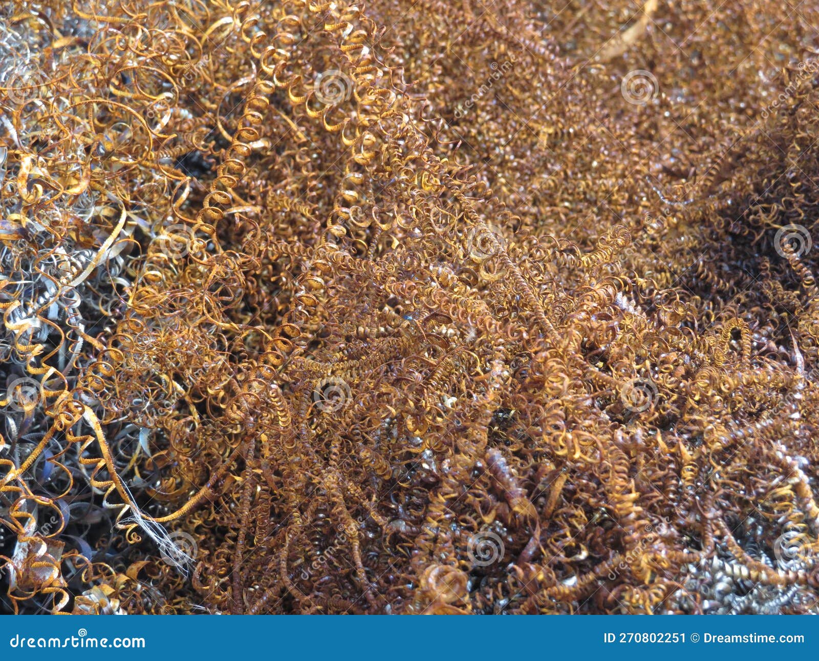 Iron Pieces of All Sizes and Shapes Stock Image - Image of machining ...