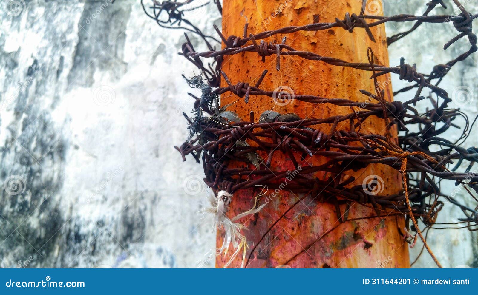 Iron Poles Wrapped in Barbed Wire Stock Image - Image of wire, poles ...