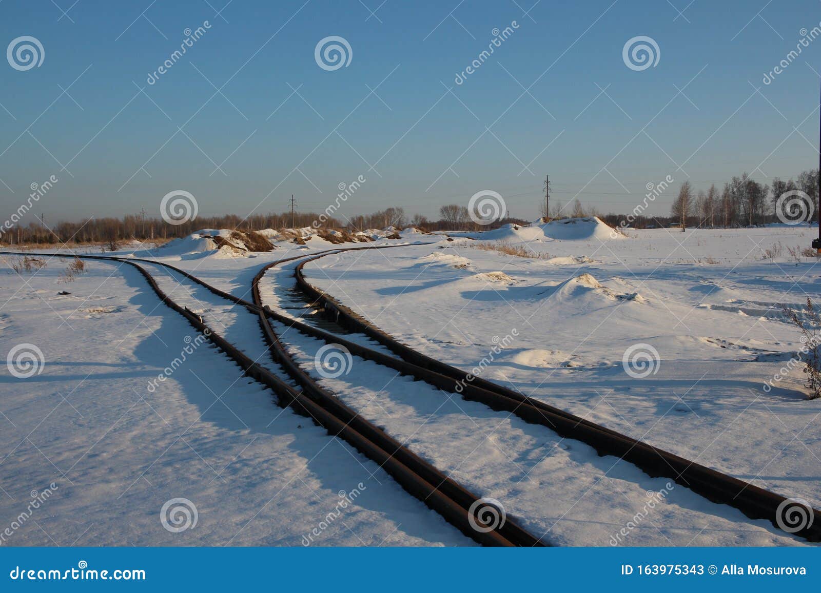 Iron Rails the Path for the Train in the Direction of Freight Covered ...
