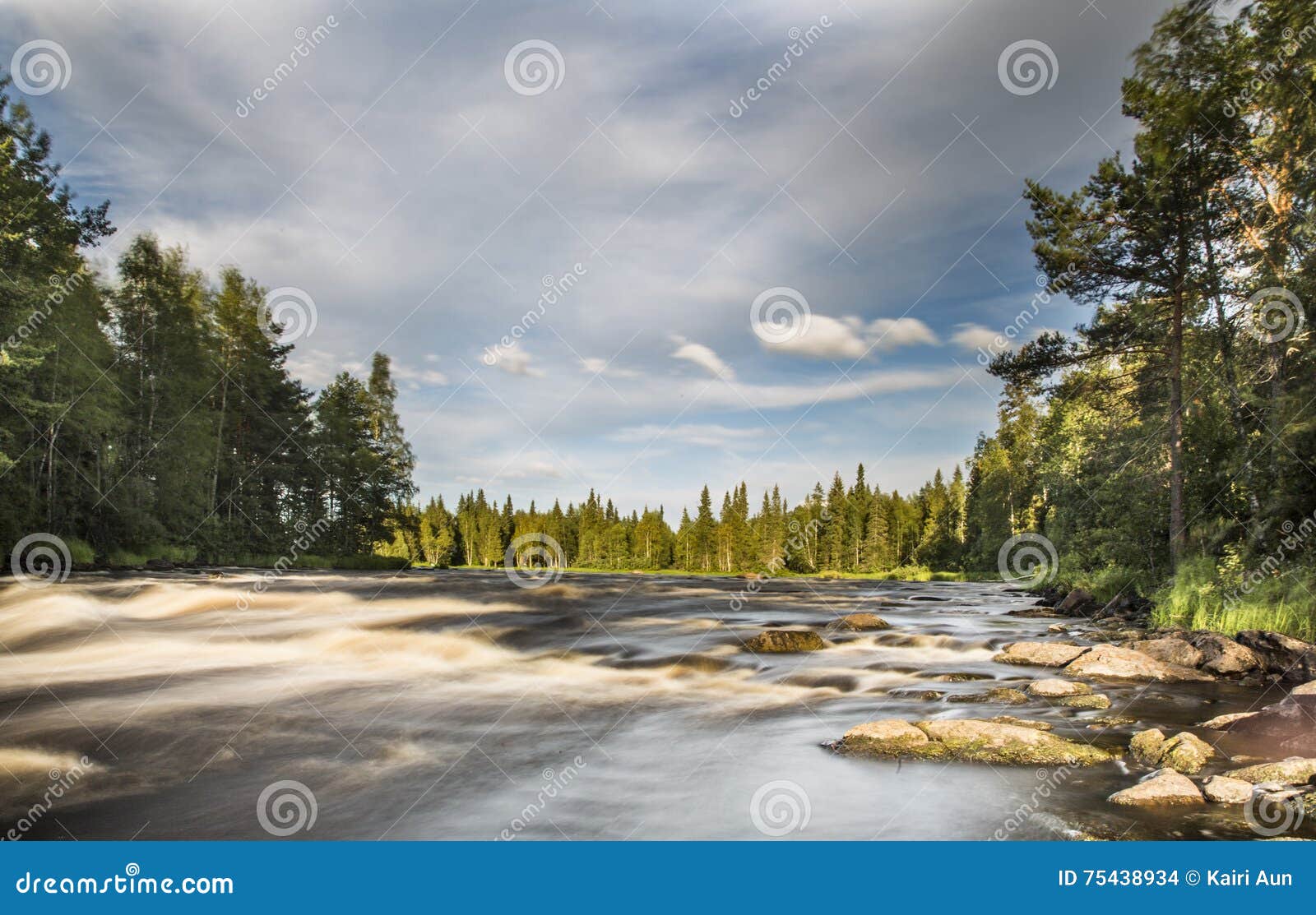 Iron River in Finnish Lapland Stock Photo - Image of summer, forest ...