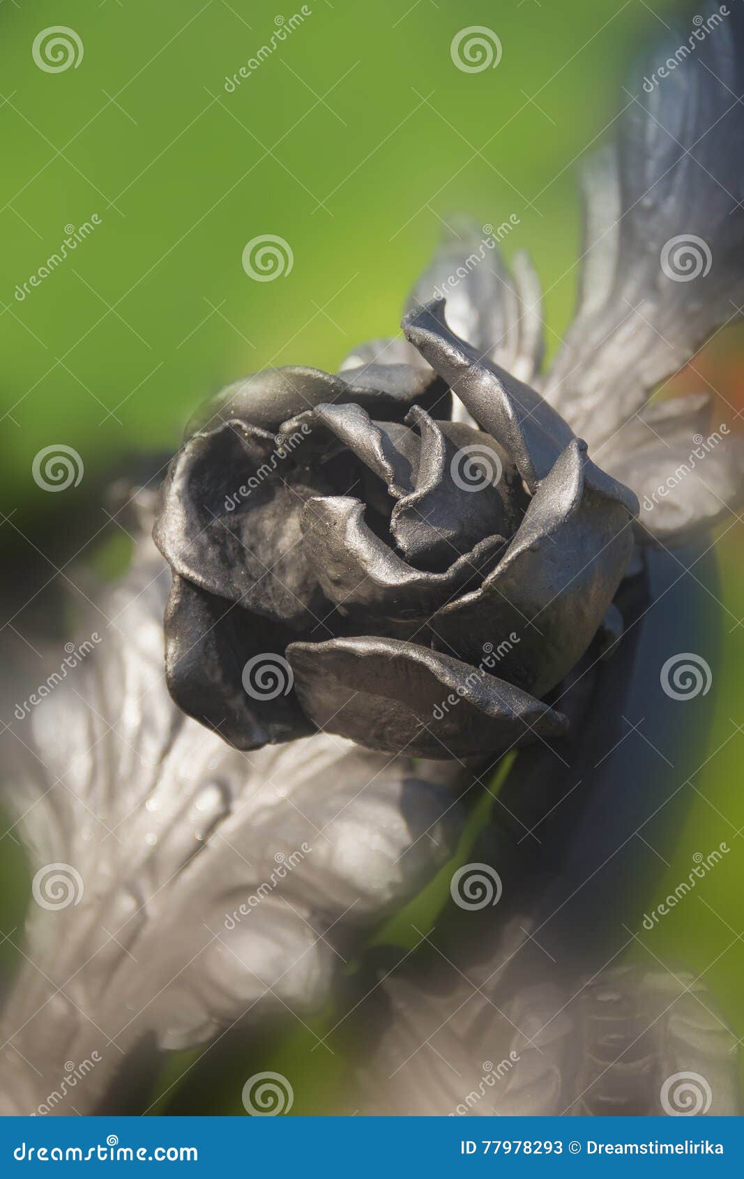 Iron rose stock image. Image of flirting, metal, colored - 77978293